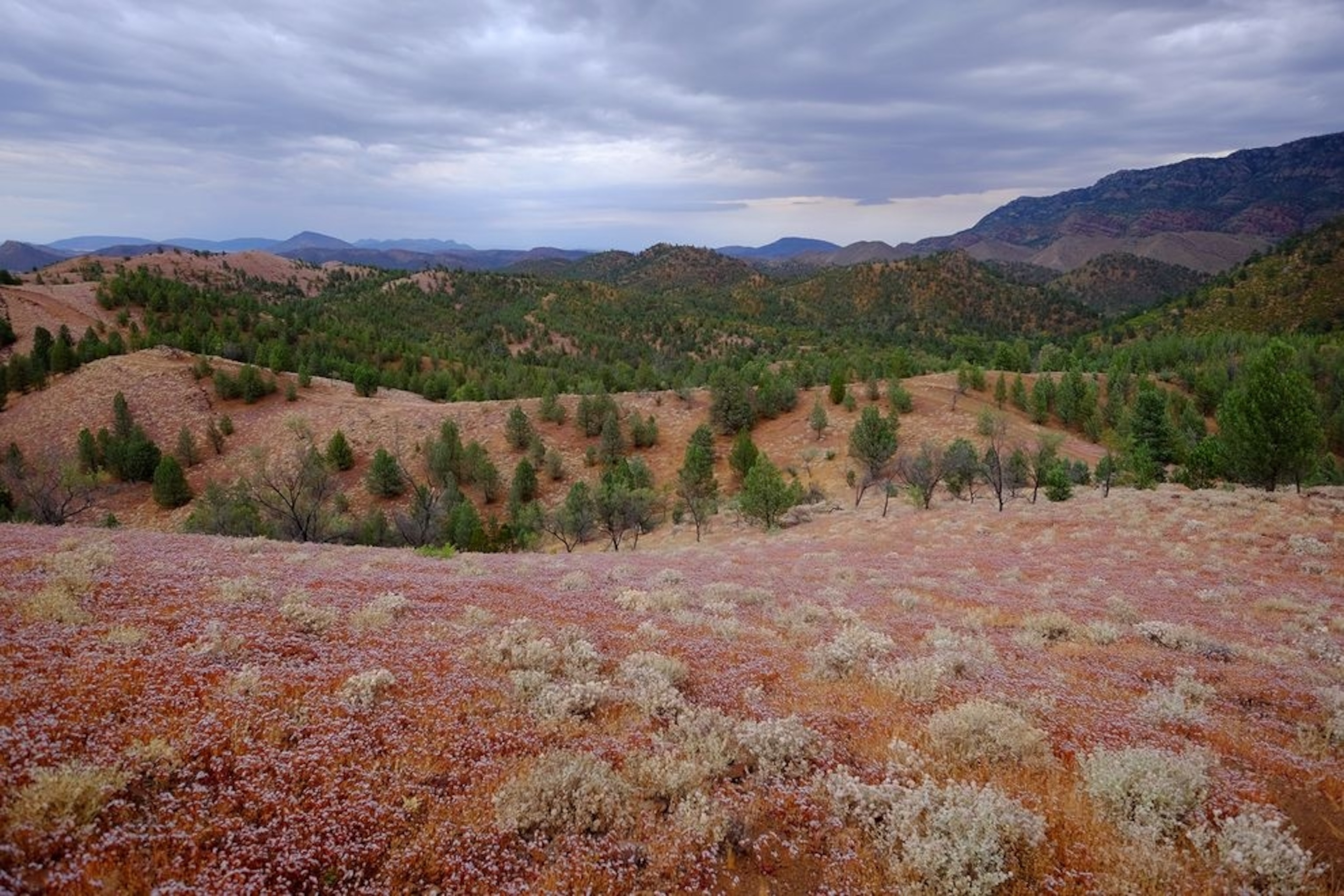 Photos: Life in South Australia’s Outback -- National Geographic Travel