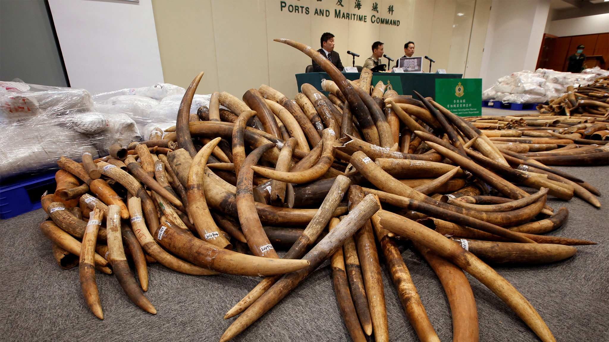 Hong Kong To Close Elephant Ivory Markets By 2021 Hong Kong To Close Elephant Ivory Markets By 2021