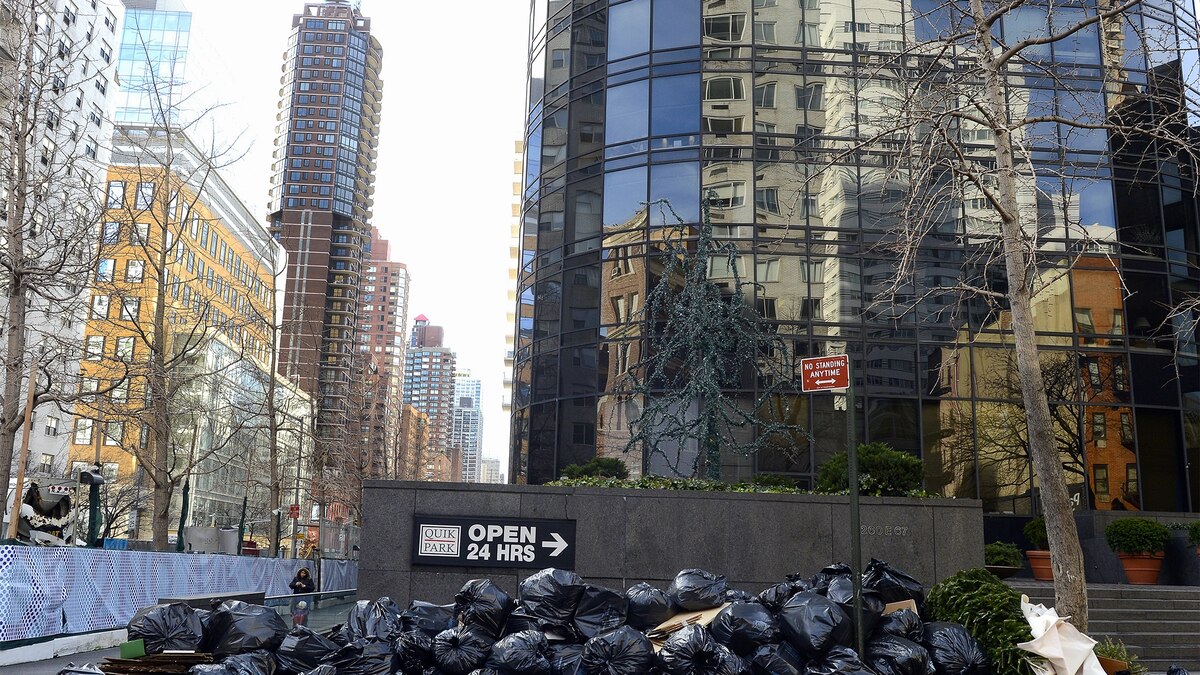 Bugs, Spiders Keep NYC Clean by Eating Garbage | National Geographic