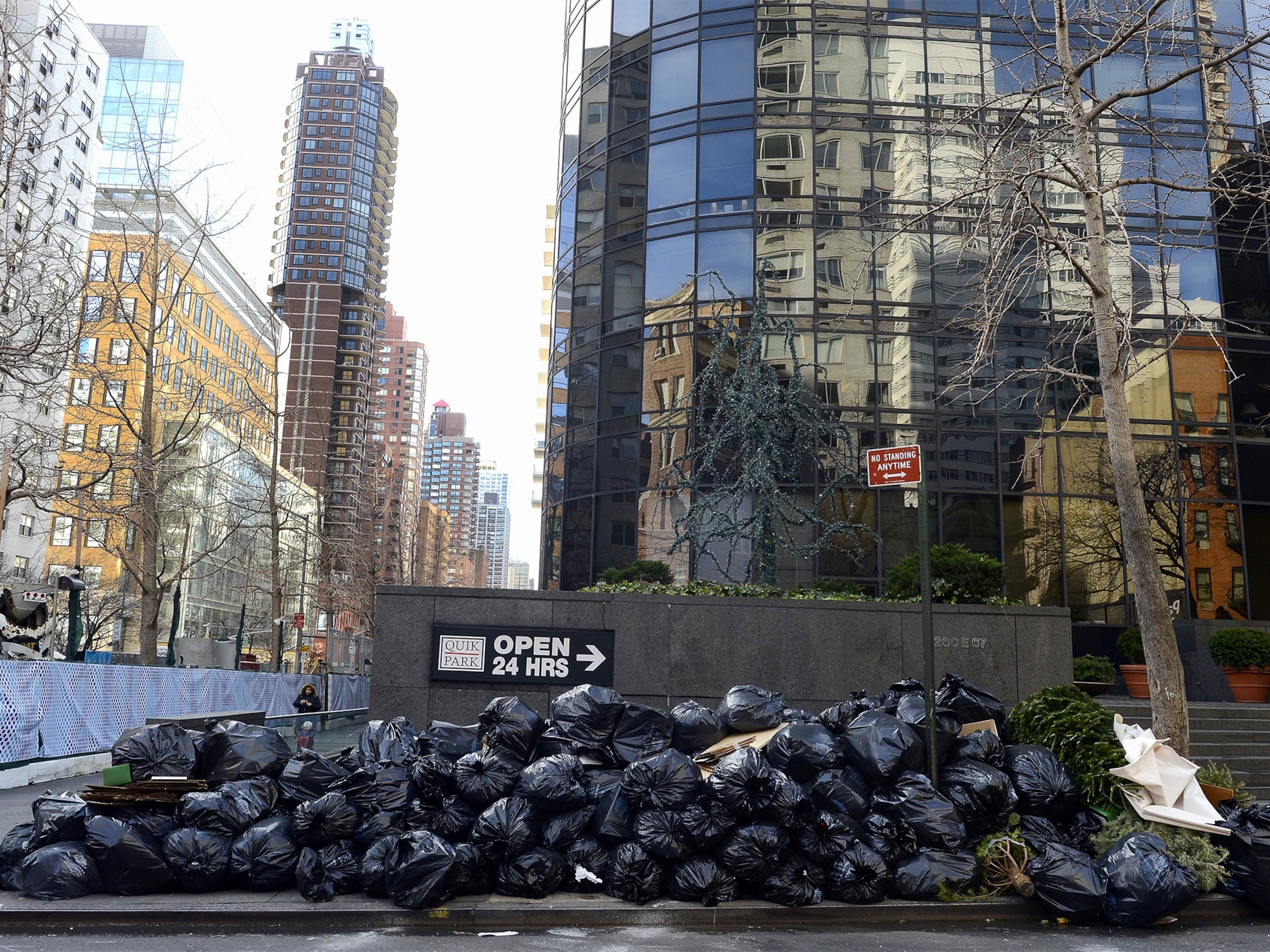 Bugs, Spiders Keep NYC Clean by Eating Garbage