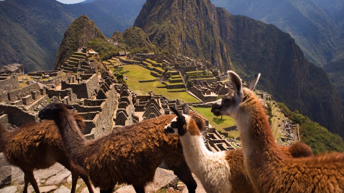 Trip Lit: Turn Right at Machu Picchu -- National Geographic Traveler ...