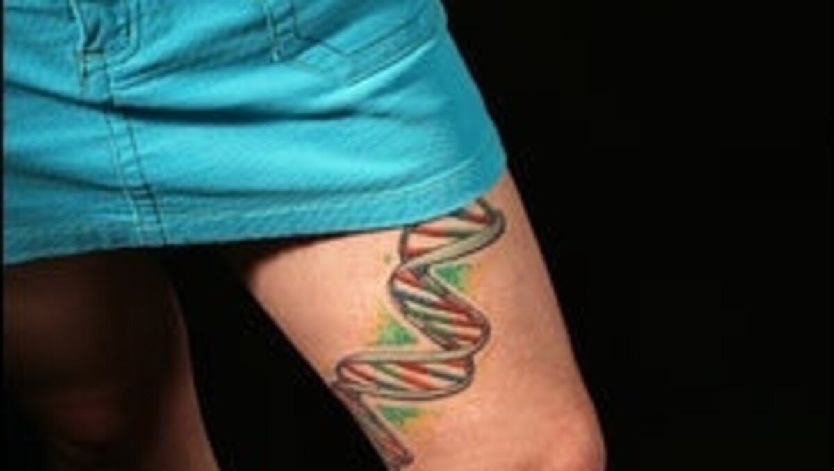 Sonic Hedgehog Gene | National Geographic