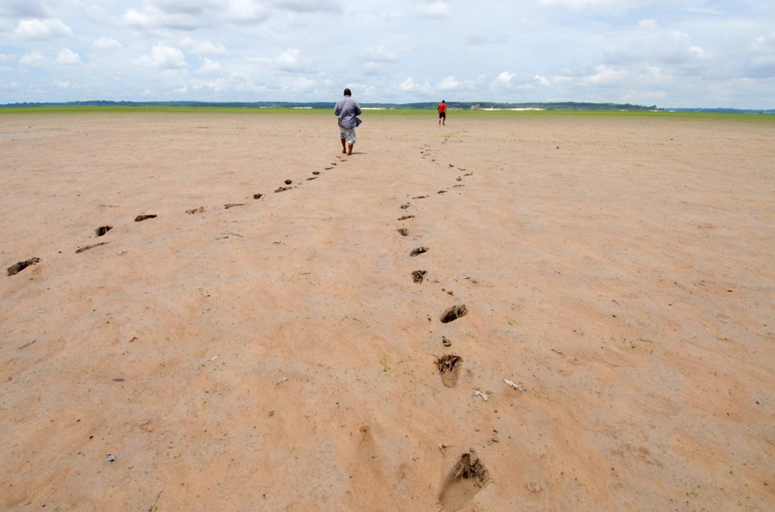 PHOTOS: "Alarming" Amazon Drought—River Hits New Low | National Geographic