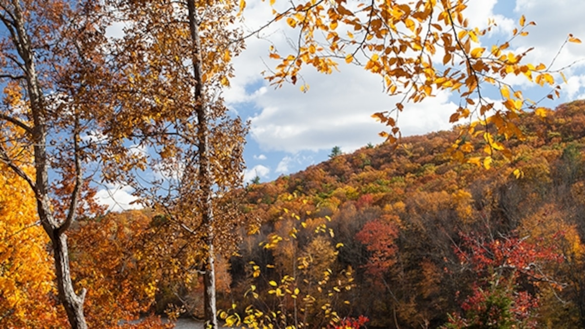 Finding Fall Off the Beaten Path: East Coast Leaf-Peeping Spots ...