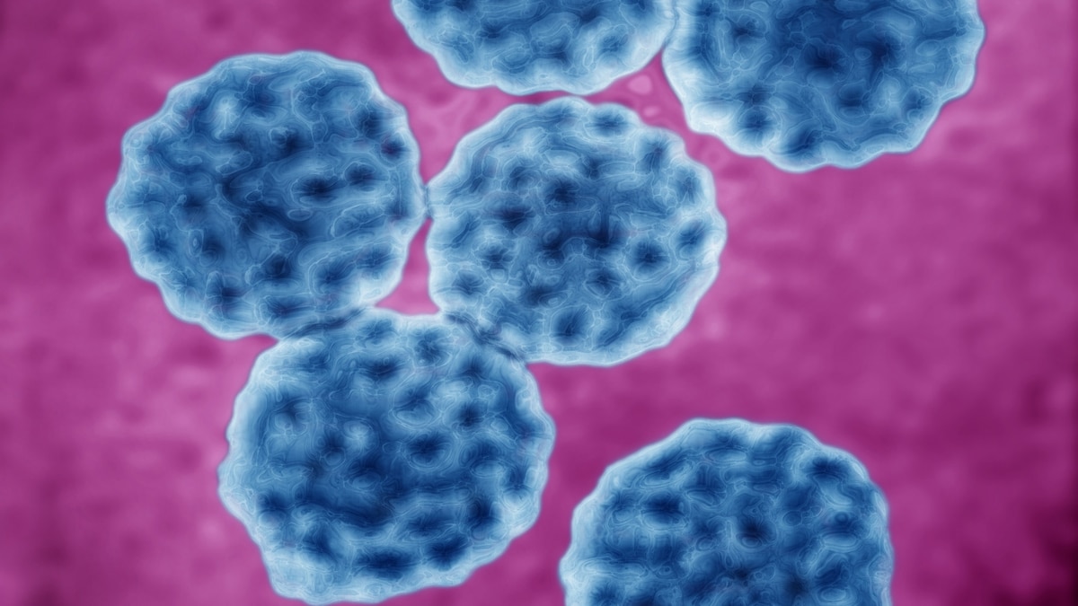 HPV is more common—and misunderstood—than you think | National Geographic