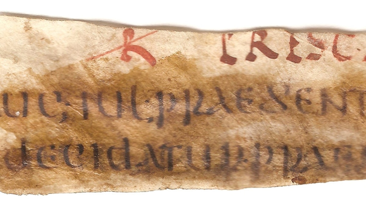 Lost Roman Codex Fragments Found in Book Binding | National Geographic