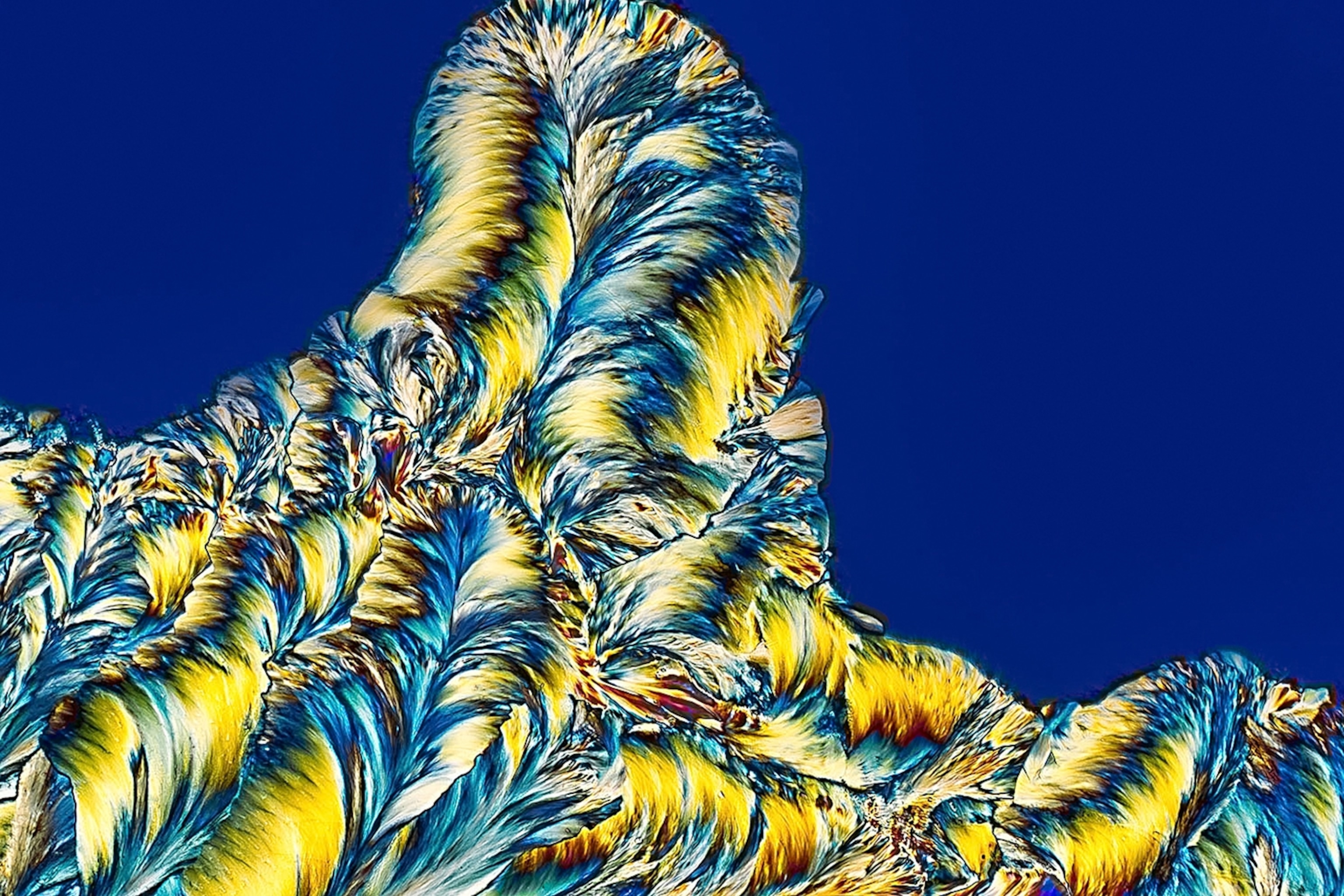 See the extraordinary splendor of ordinary chemicals