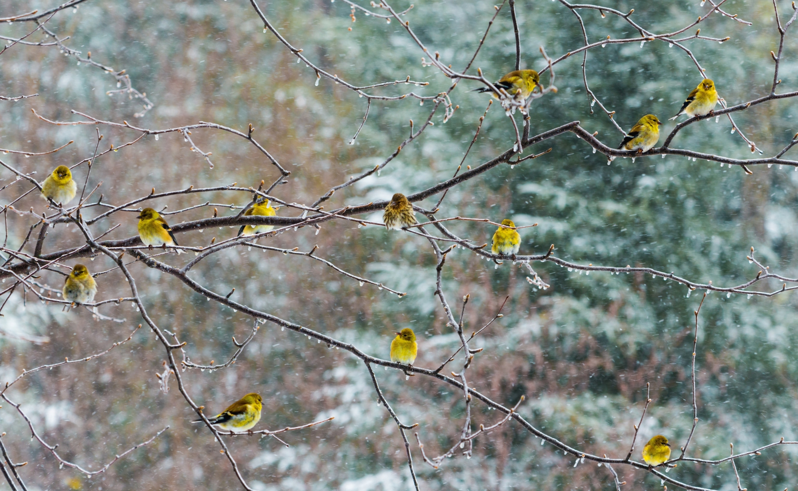 Pictures of the Spring Landscape in Minnesota | National Geographic