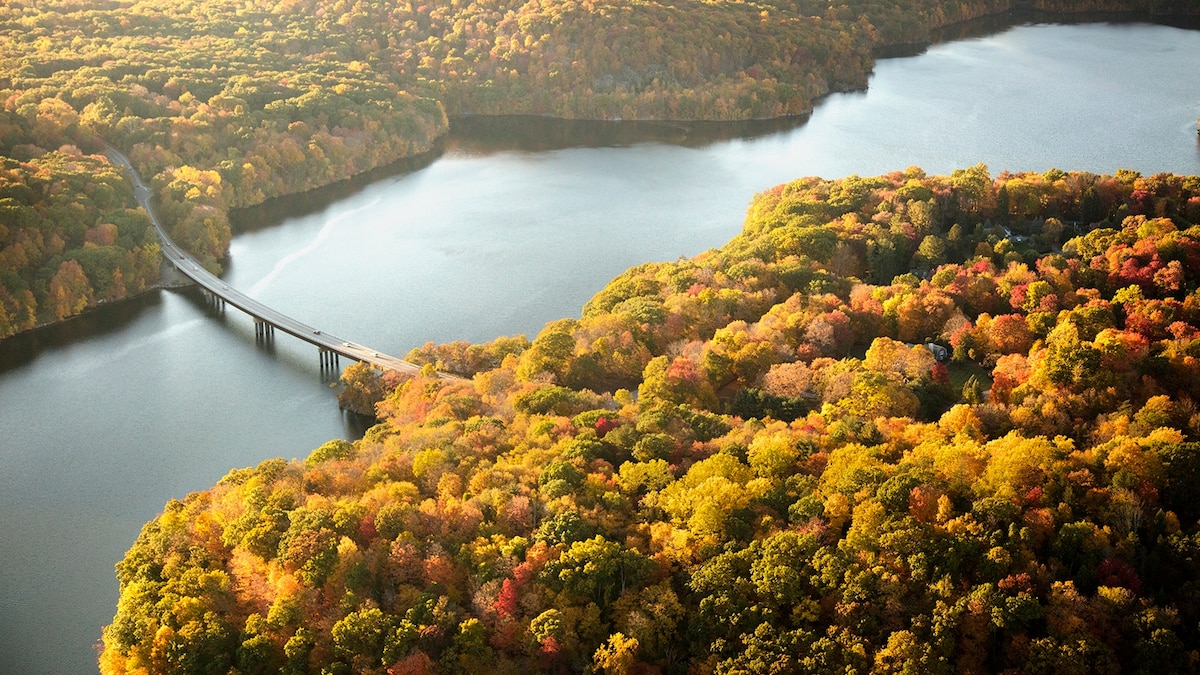 Vibrant Photos of Foliage From Above | National Geographic