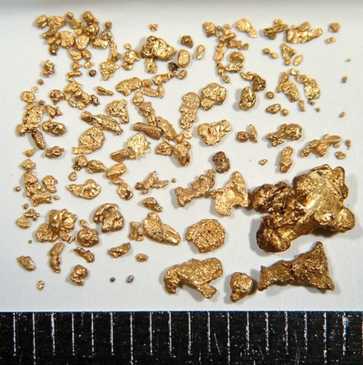 Exclusive Photos: Blackbeard Pirate Relics, Gold Found
