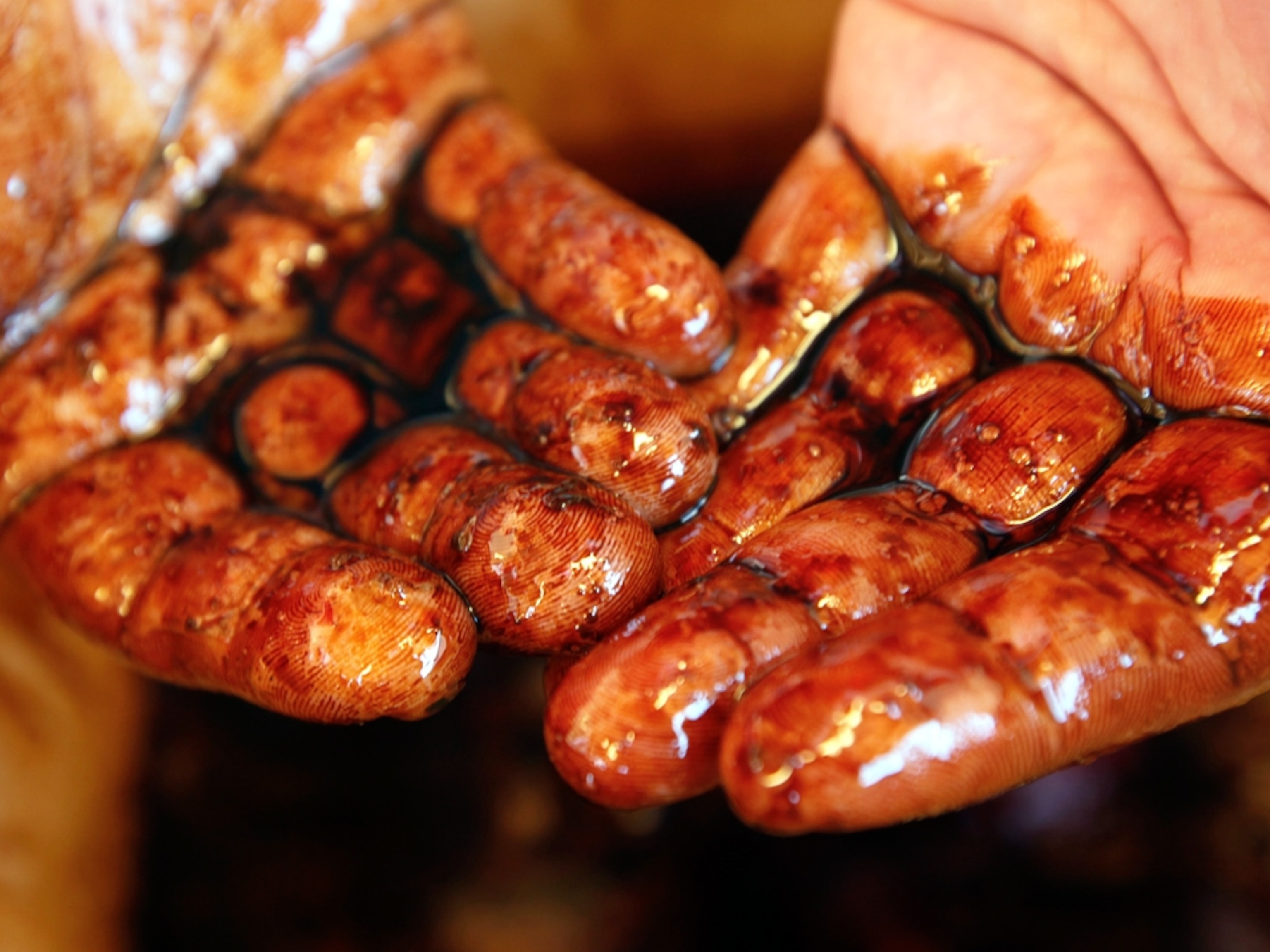 Gulf Oil Spill Pictures: Oil, Tarballs Hit Beaches