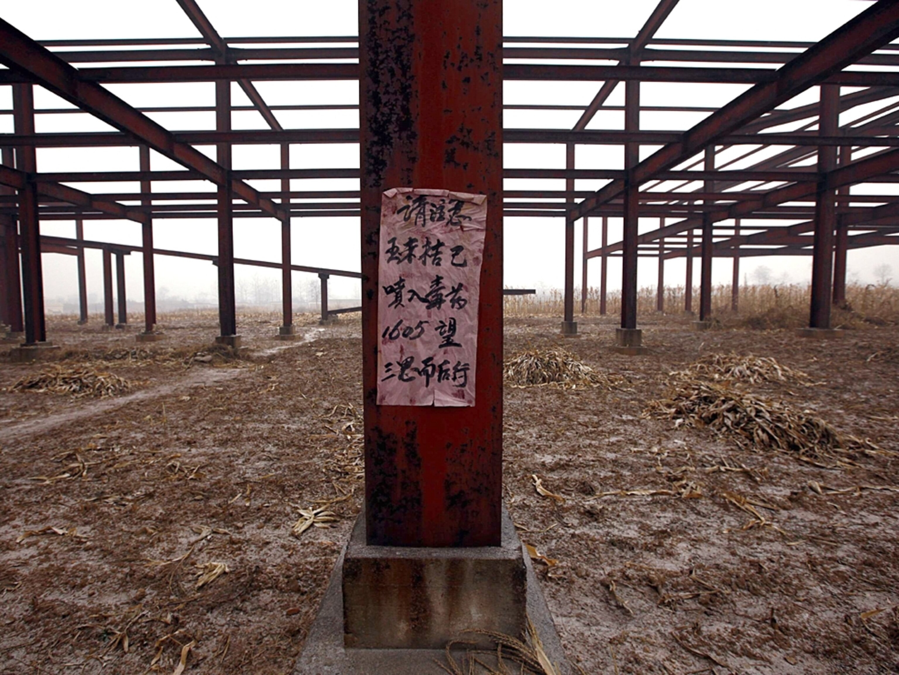 Pictures: China's Fake Disneyland, Overgrown and Ghostly
