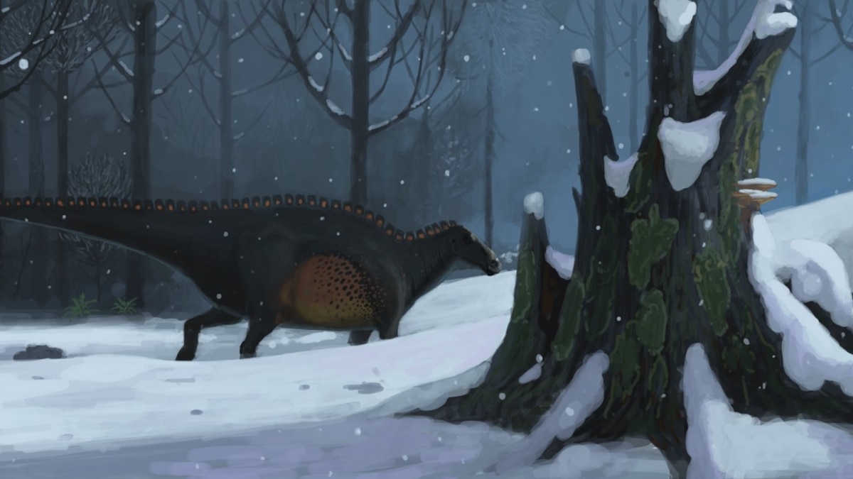 Dinosaurs in the Dark | National Geographic