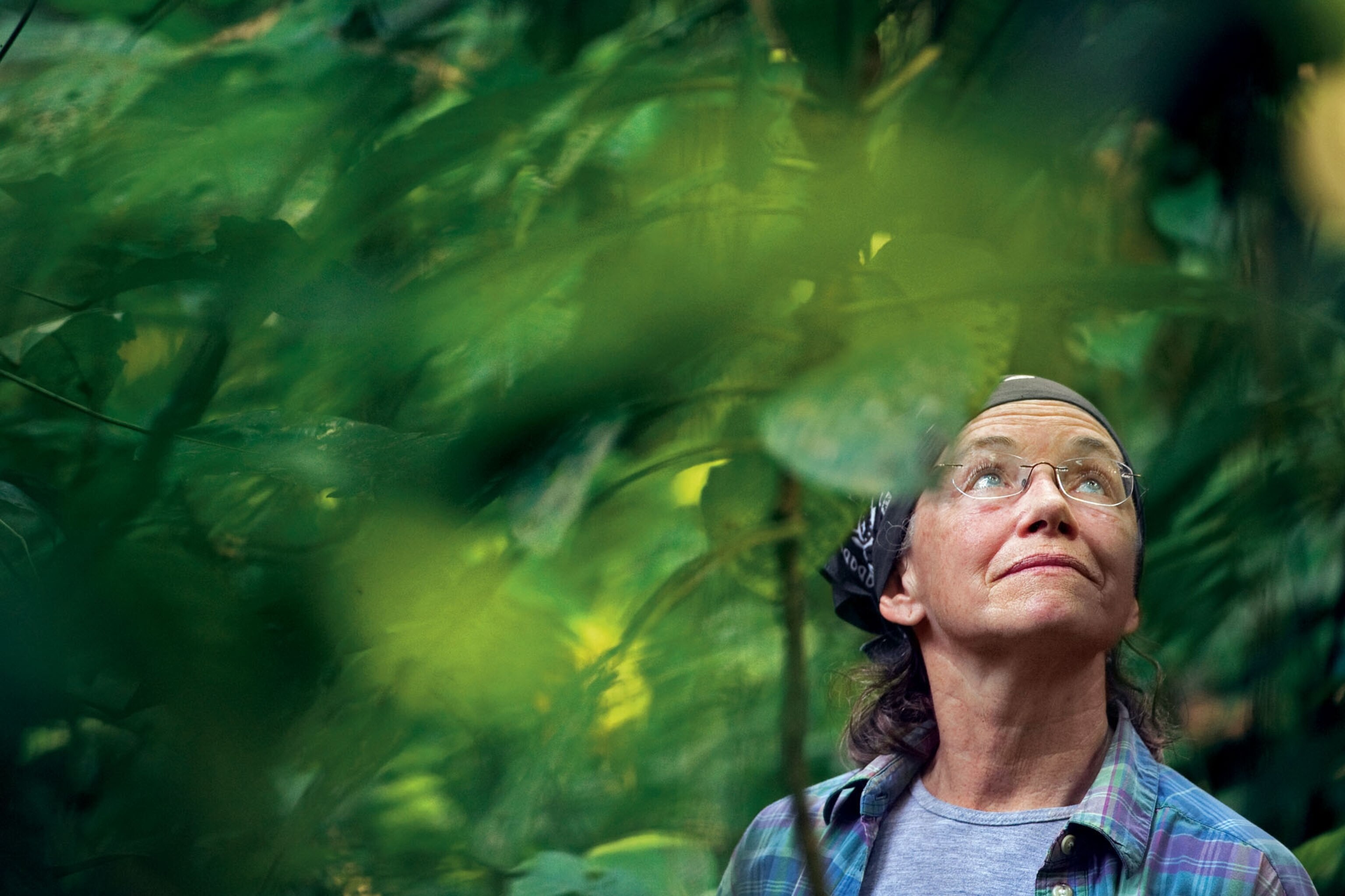 Bioko Island: a threatened African treasure