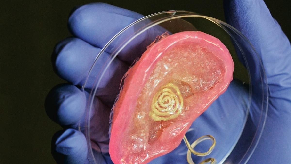 Just Press Print | National Geographic