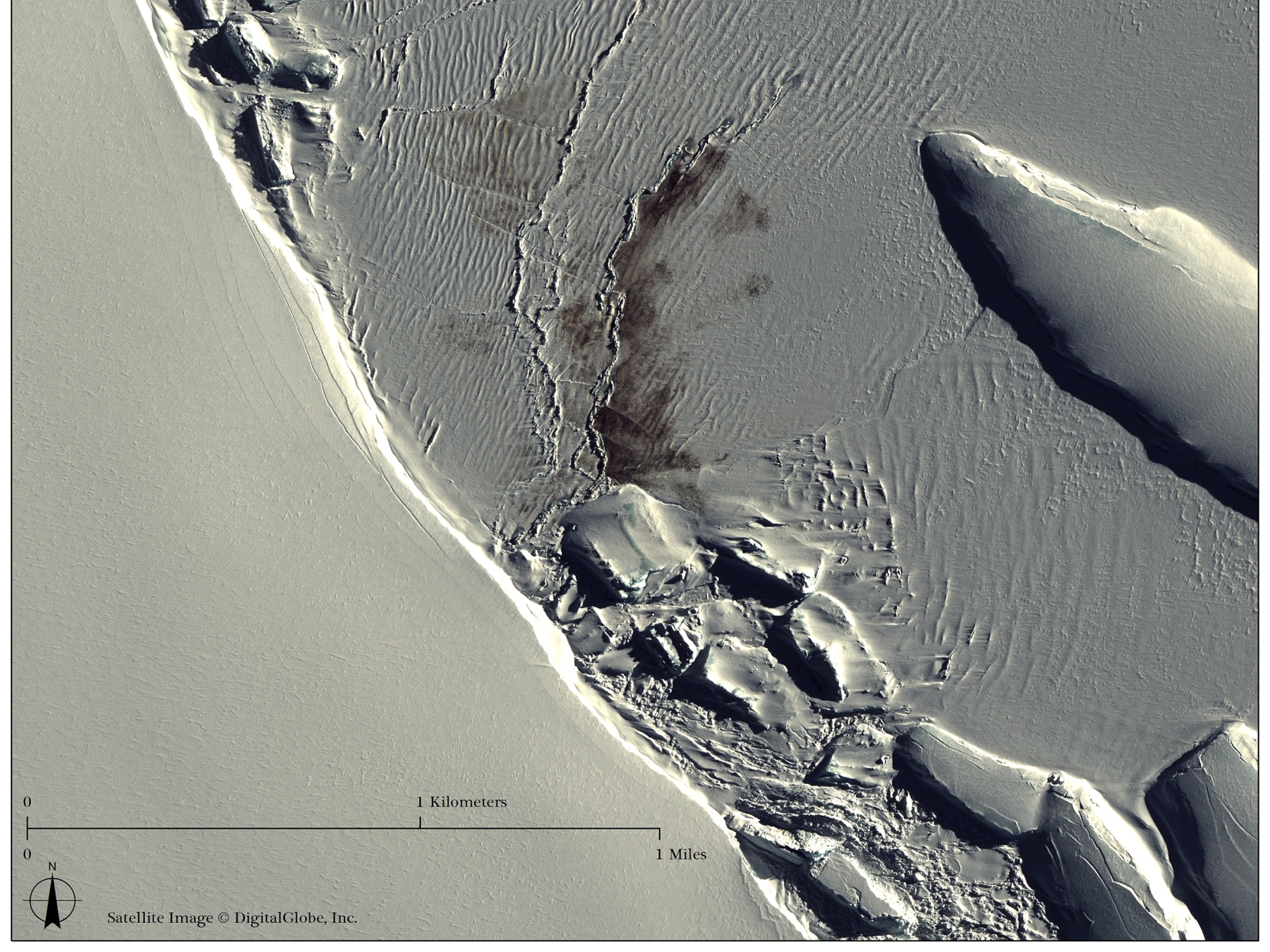 Animals From Space: Polar Bears, Penguins Tracked Via Satellite