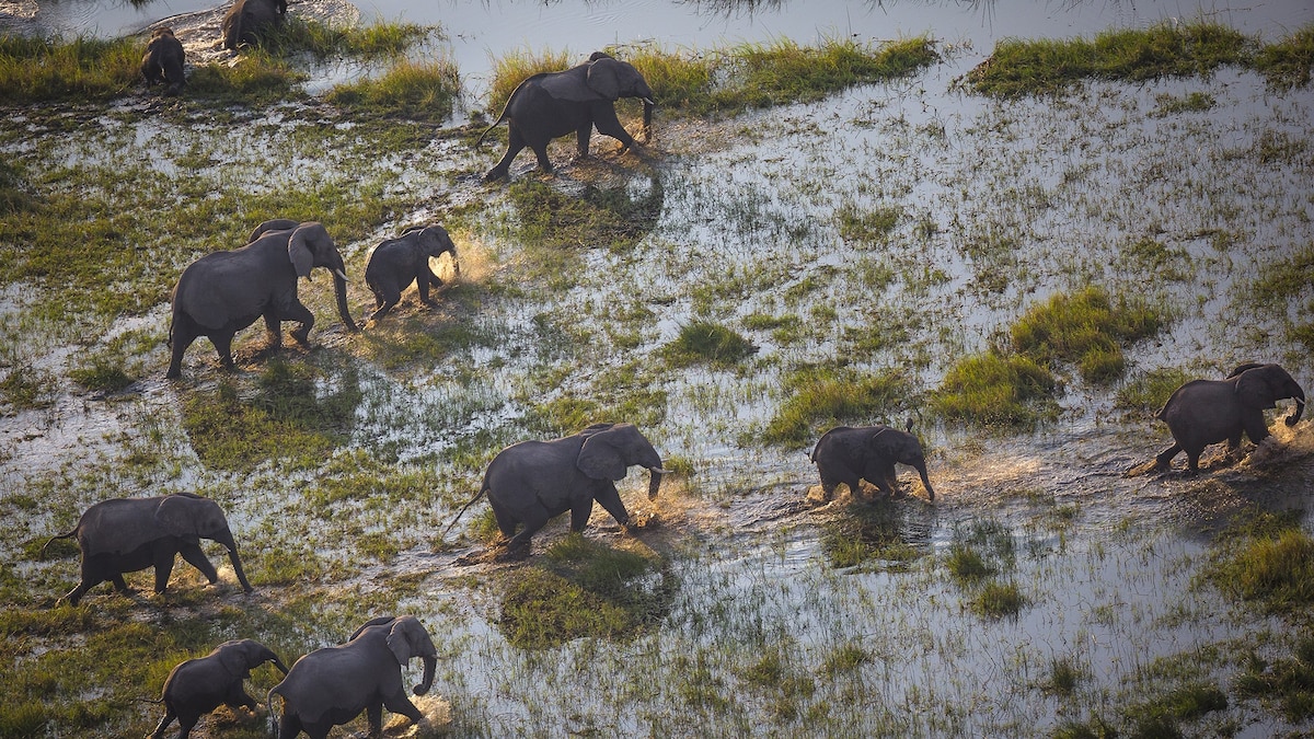 How to explore Maun, Botswana | National Geographic