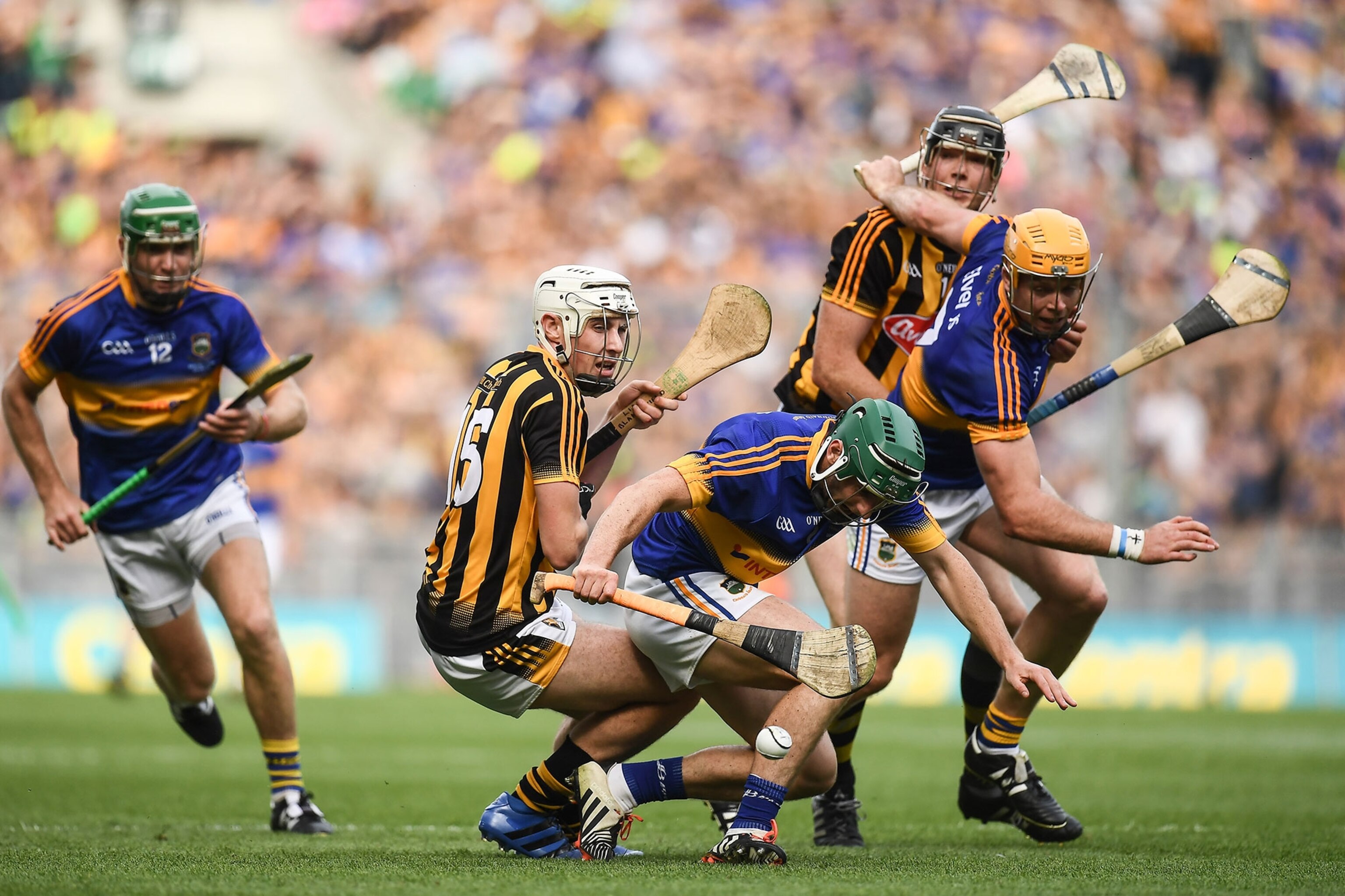 Trees That Advanced Civilization Are Now Threatened