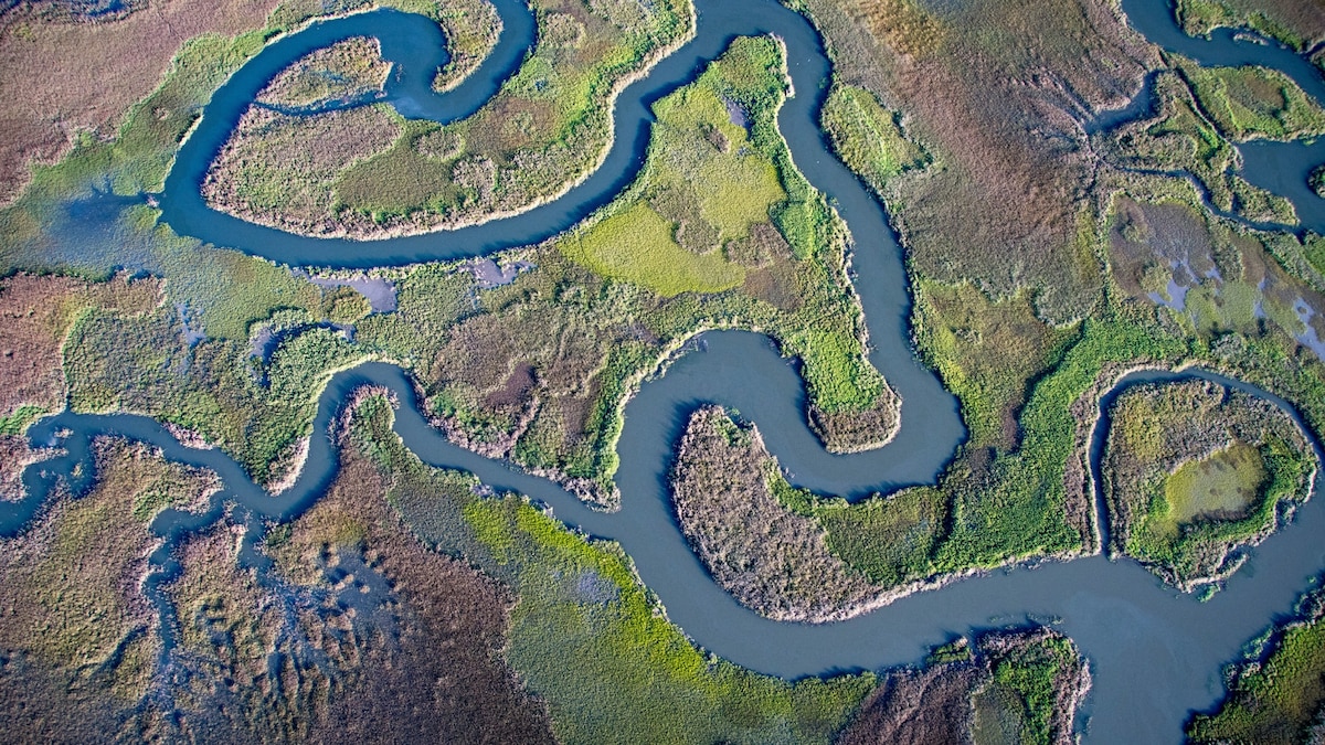 Discover the natural wonders along Georgia’s coast | National Geographic