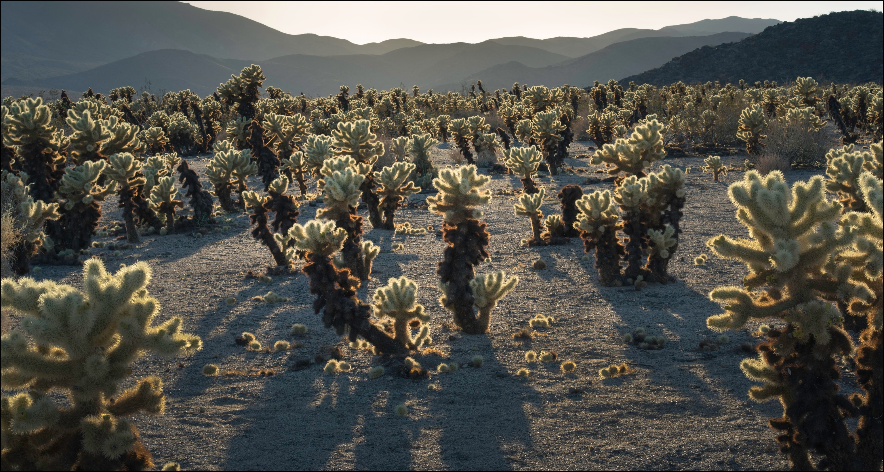 Your California Photos - National Geographic | National Geographic