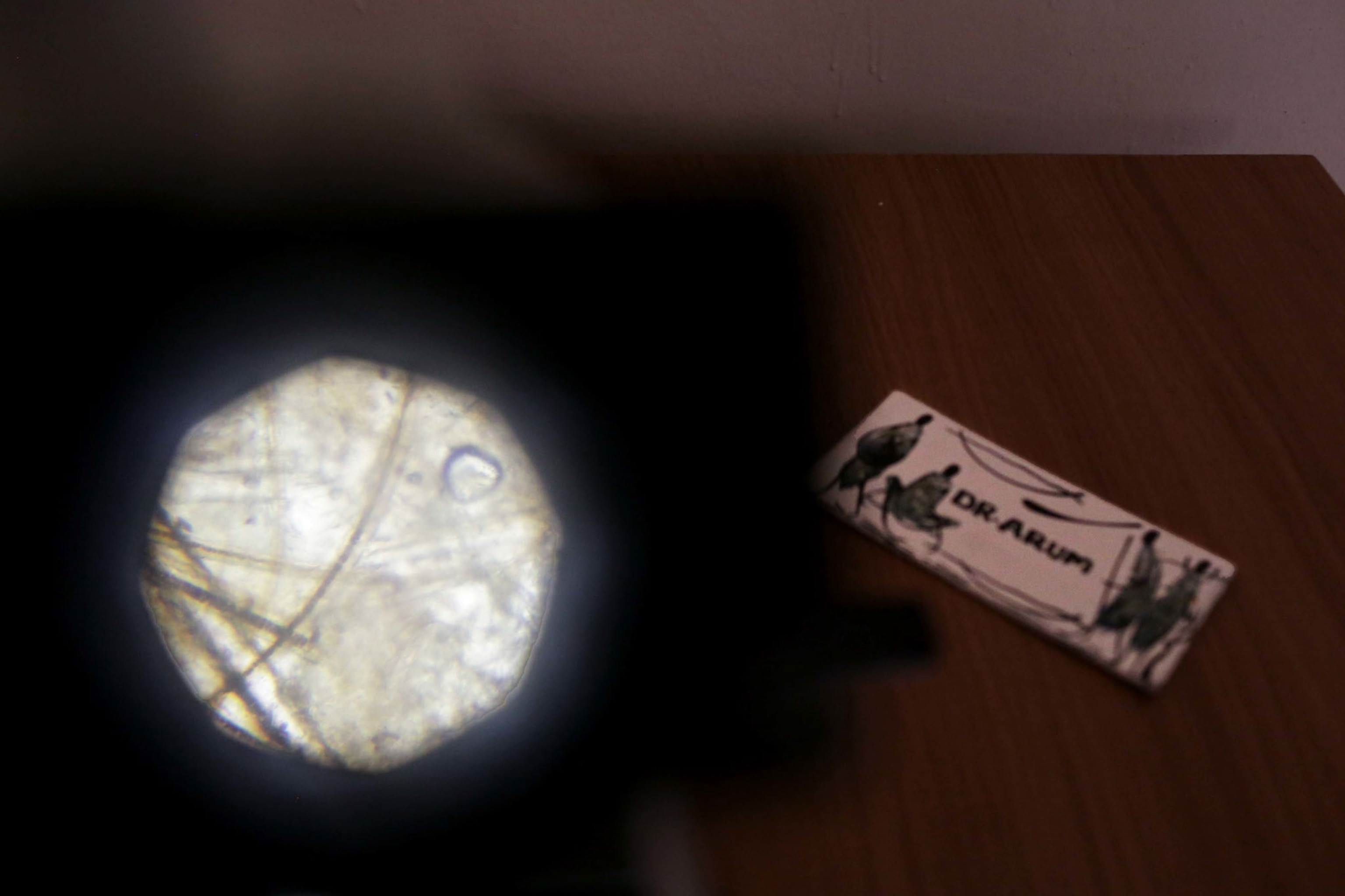 Beautiful Photos Show How Rwandans Are Embracing Dogs as Pets