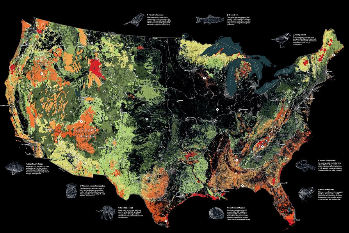 How To Identify Conservation Priorities Near You | National Geographic