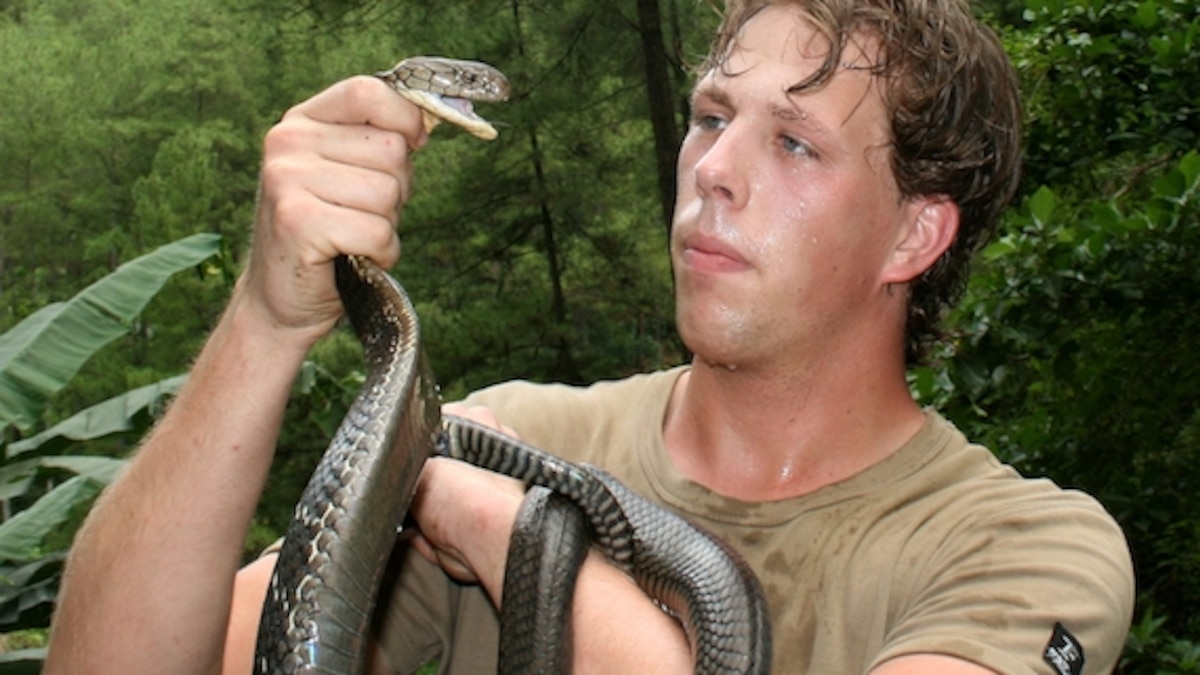 How a pit viper saved millions of lives: Snakes as drug factories ...
