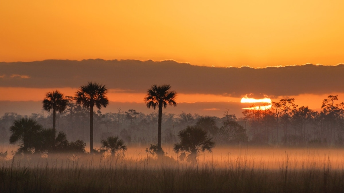 Florida's Pristine Parks: Big Cypress National Preserve -- National ...