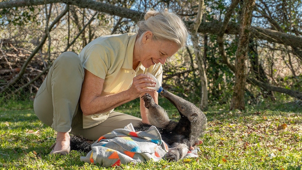 Meet the adventurer: conservationist Kris Tompkins on reviving the ...