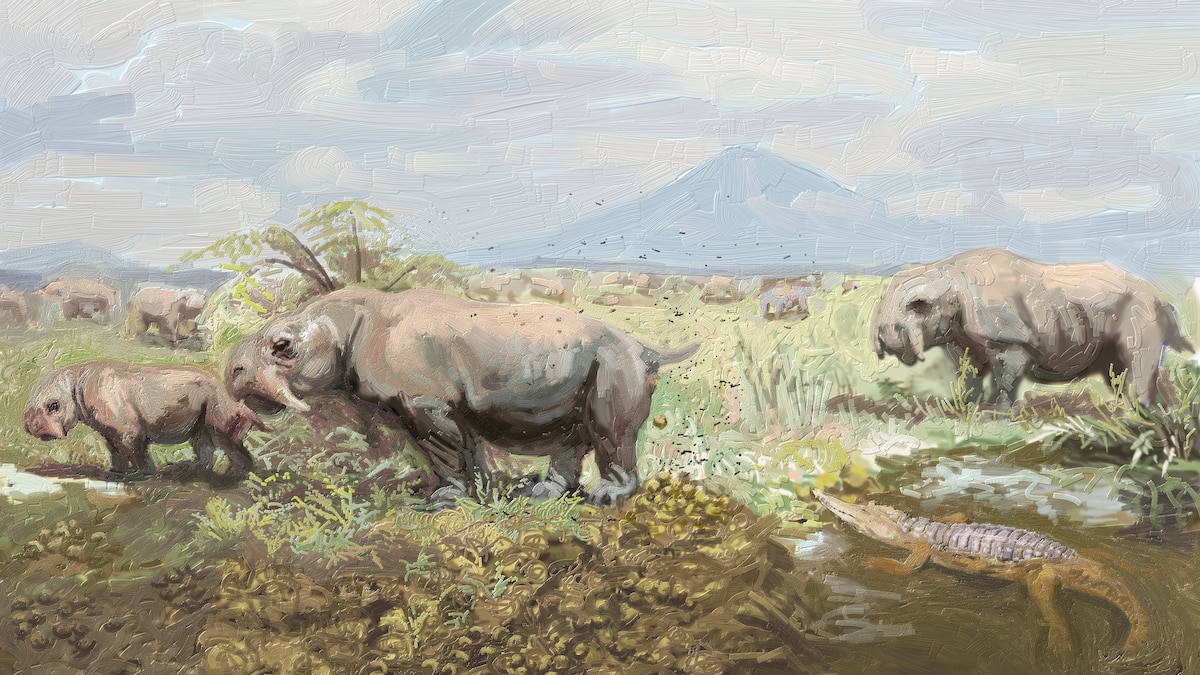 The Scoop Behind Ancient Poop | National Geographic