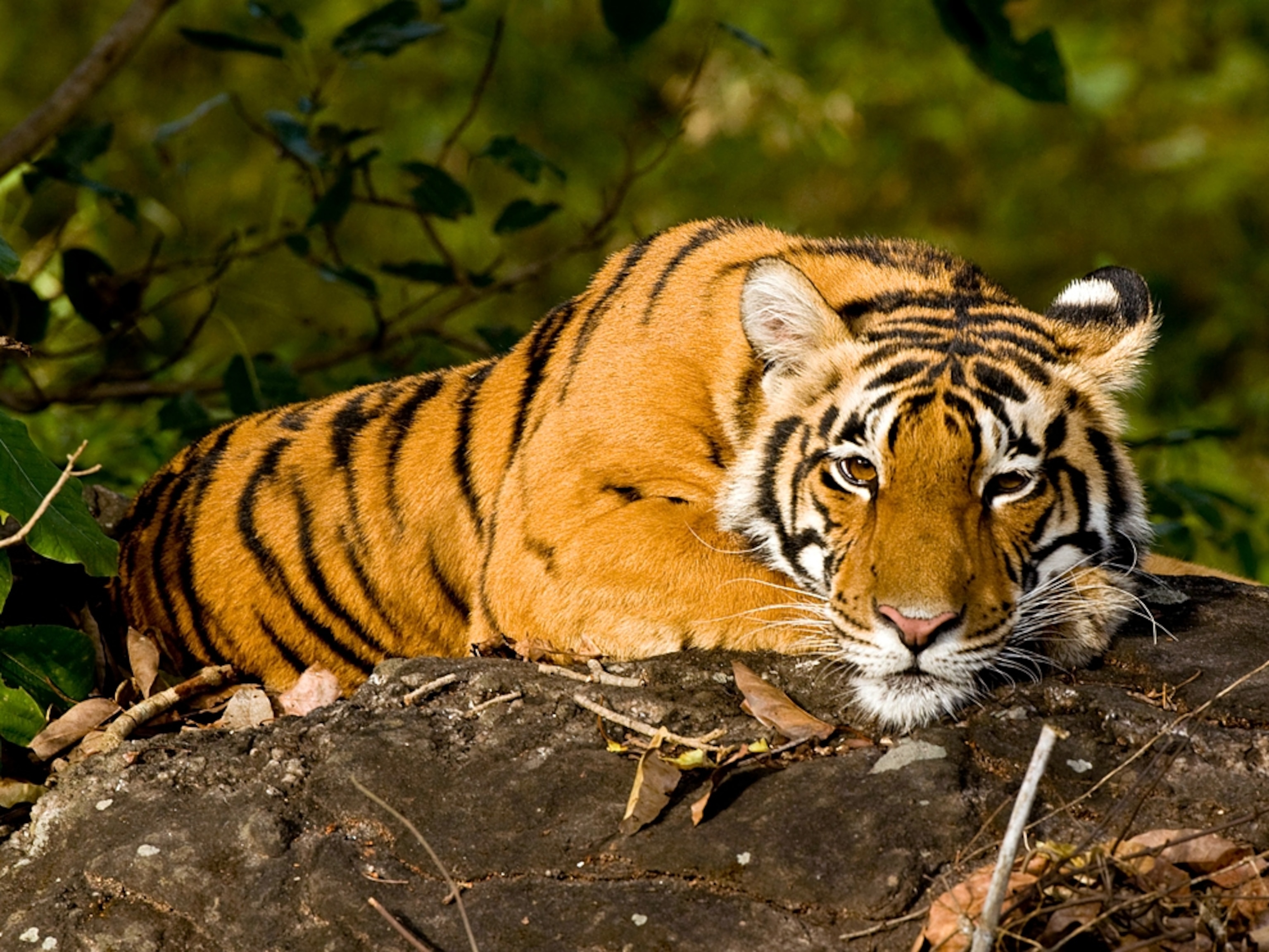 10 Adventure Trips That Give Back - National Geographic