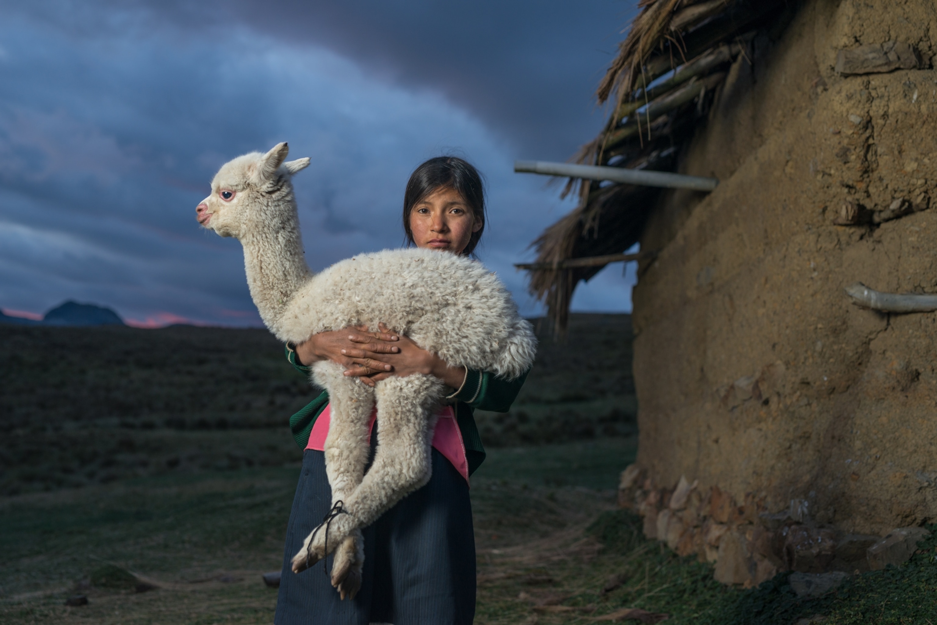 What made Peru's Chimú people sacrifice their own children?