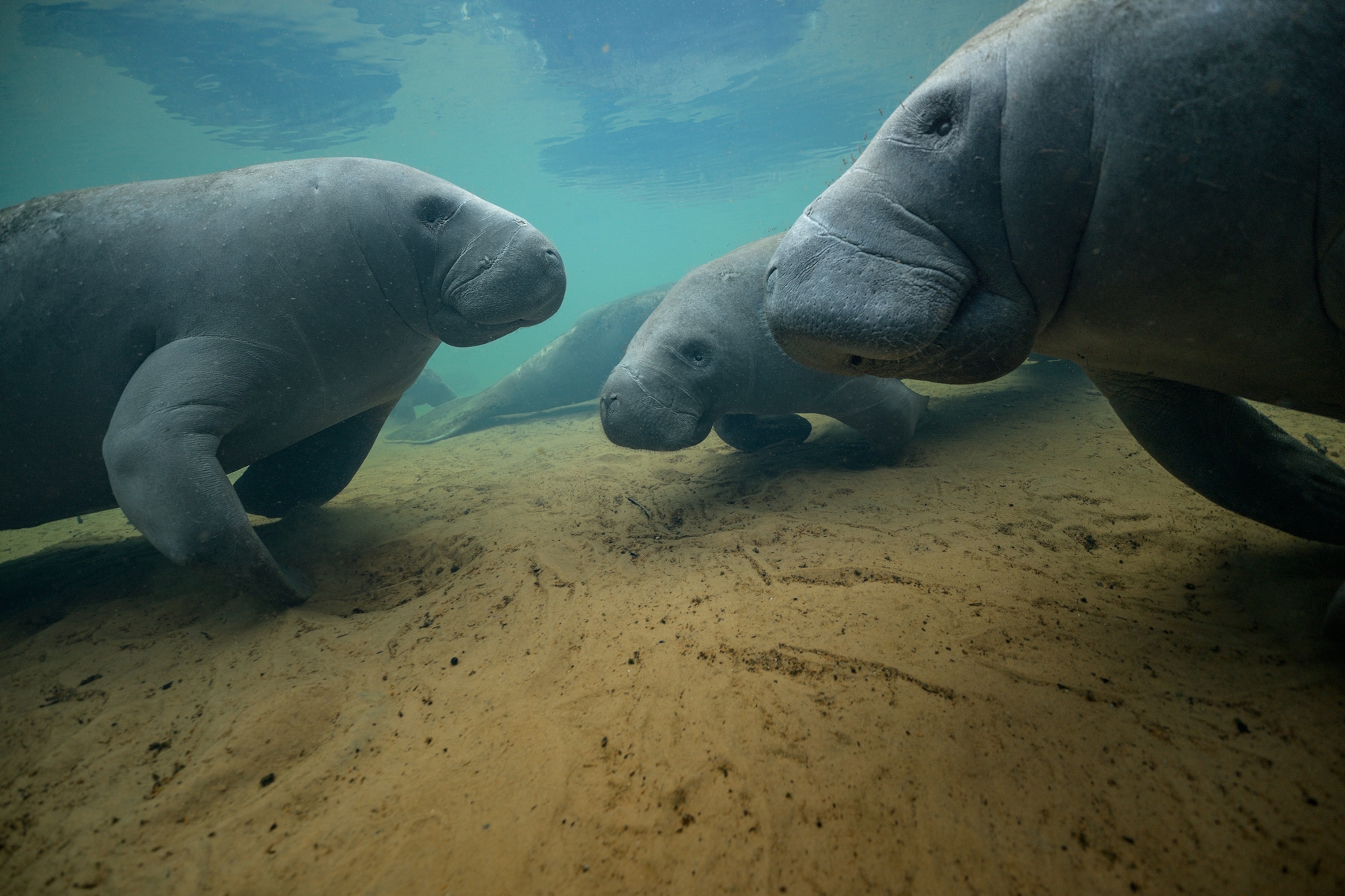 See our best wildlife photos from 2023