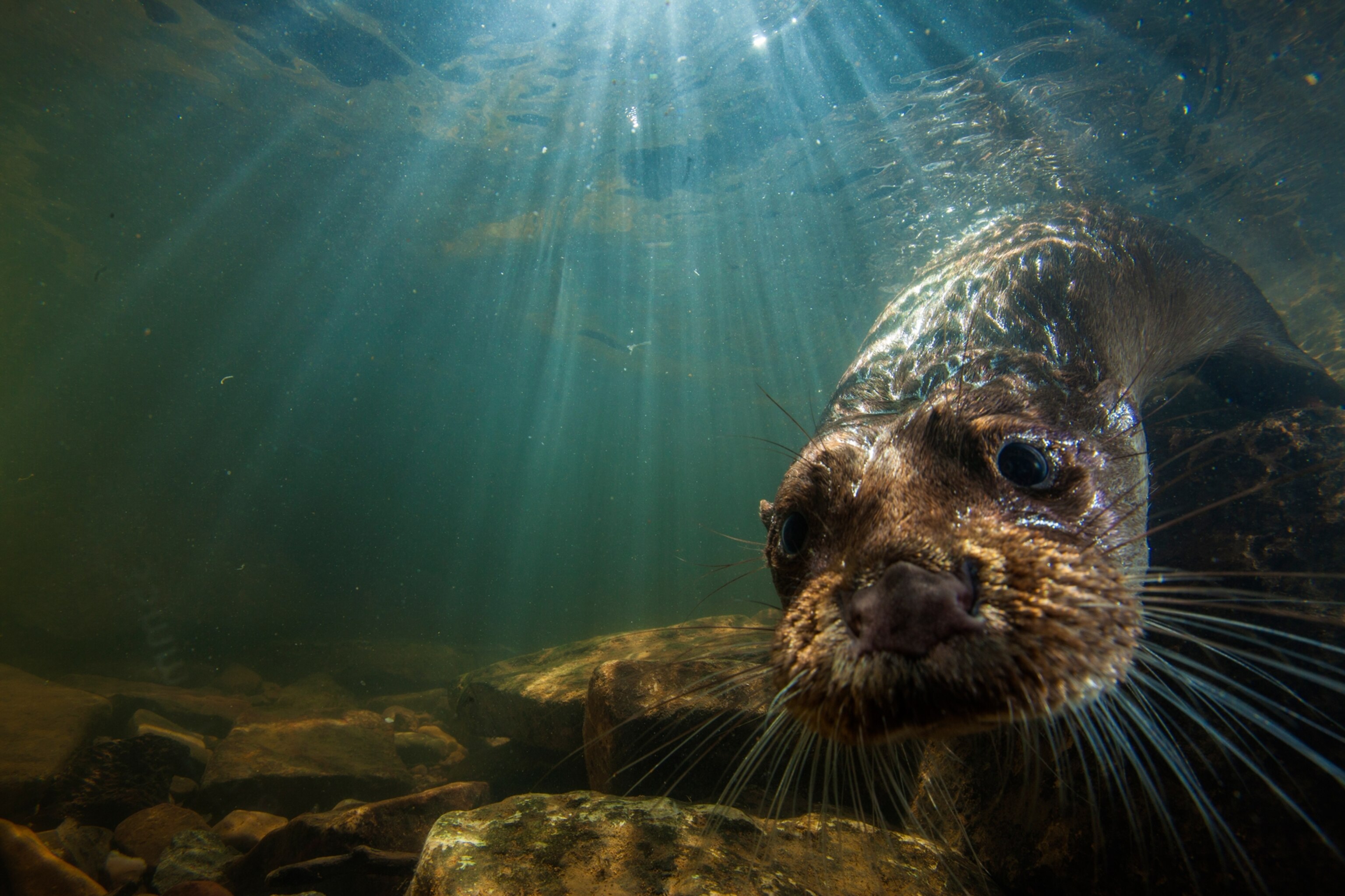 Life through the lens: Charlie Hamilton James