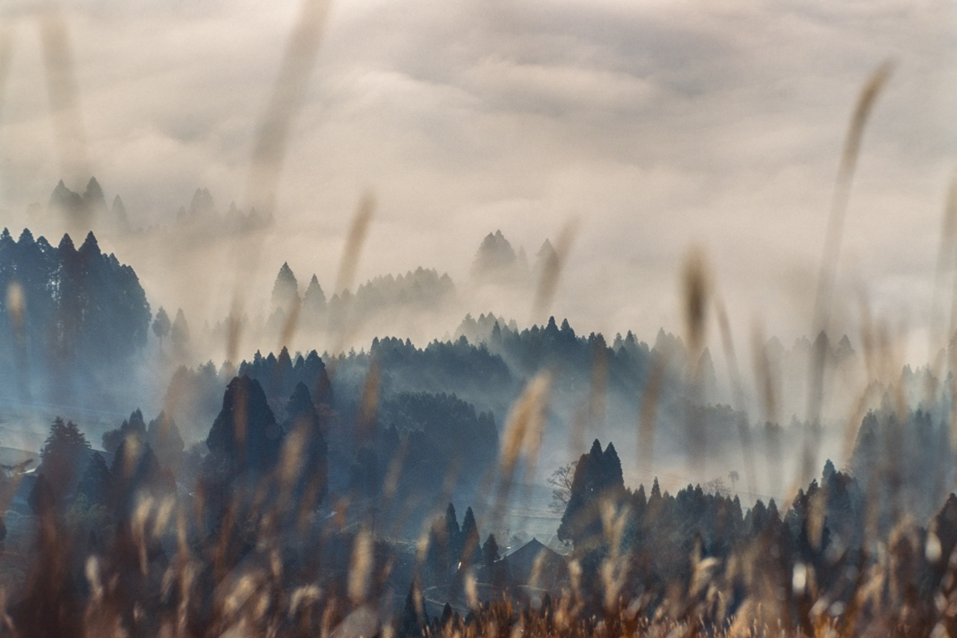 “Working the light” in Japan’s national parks