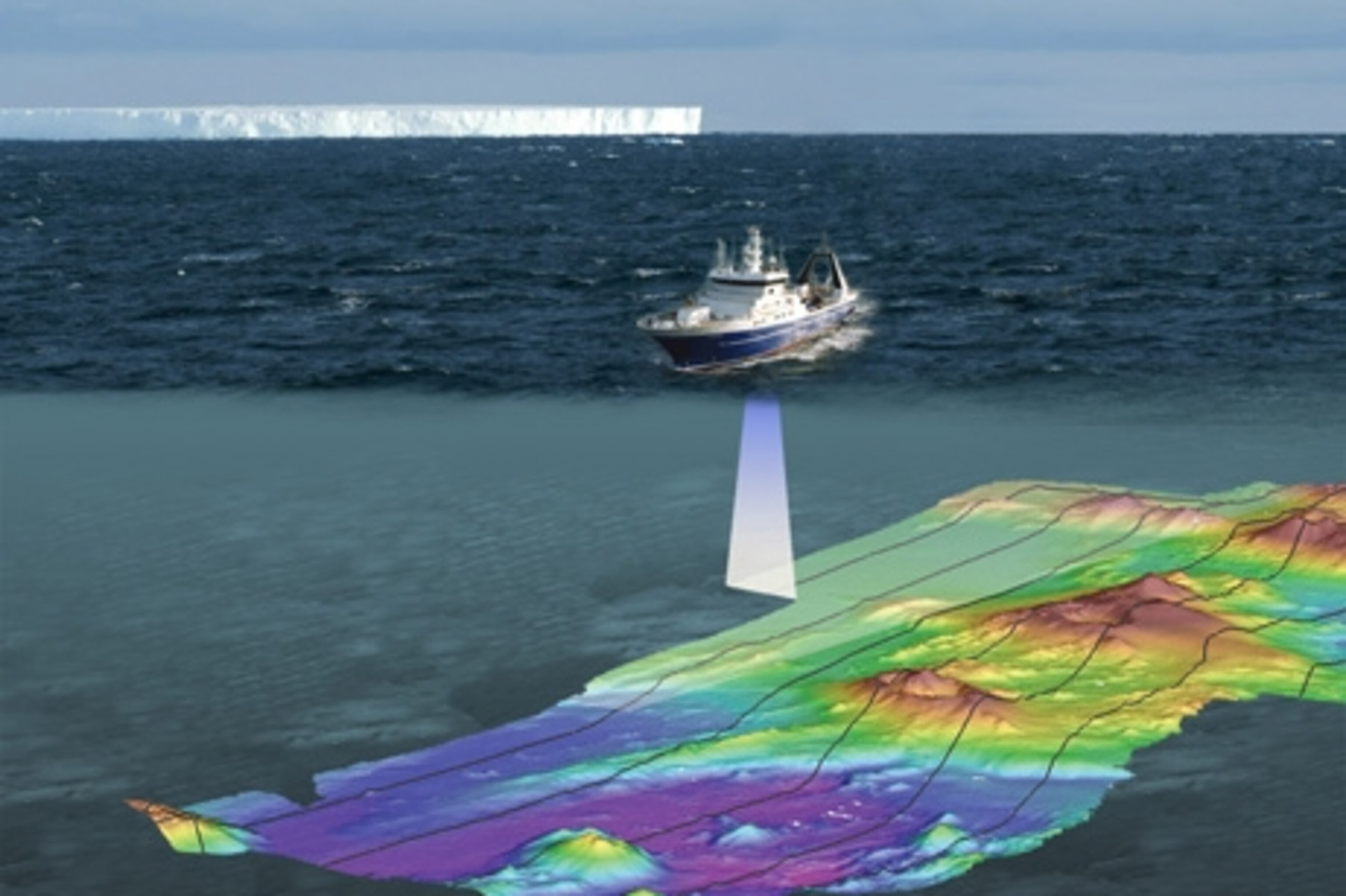 Giant, Unknown Animals Found off Antarctica