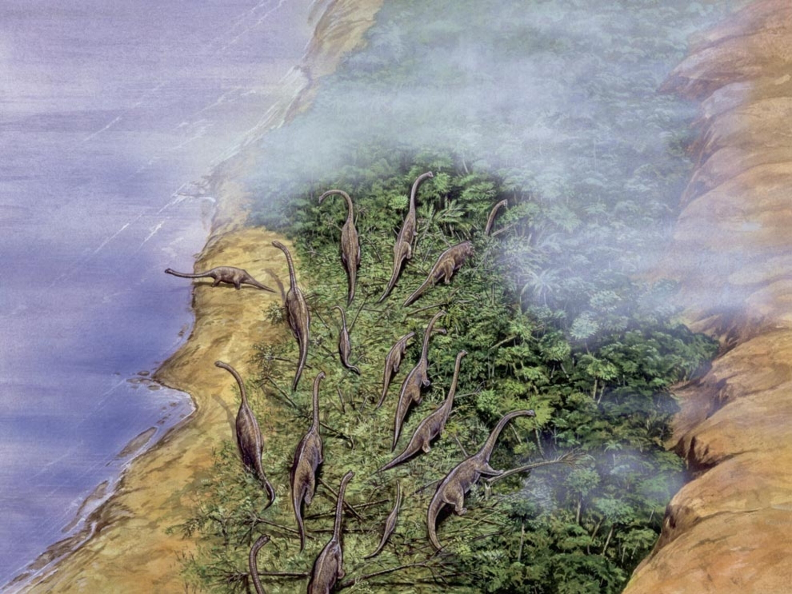 Jurassic Period Artwork, Photos, Dinosaur Photos -- National Geographic