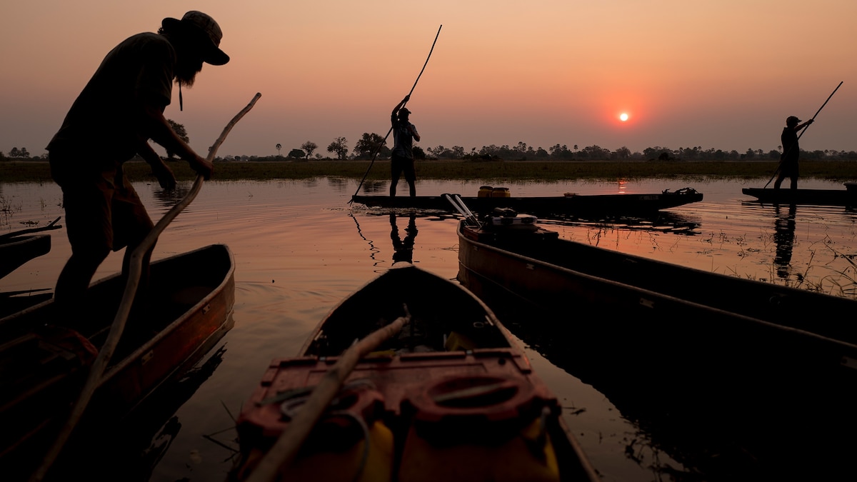 New 360-degree video takes you into the Okavango Delta | National ...