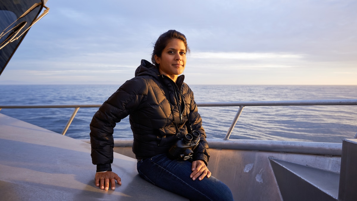 Asha de Vos: Dreaming of ocean mysteries to pioneering whale research ...