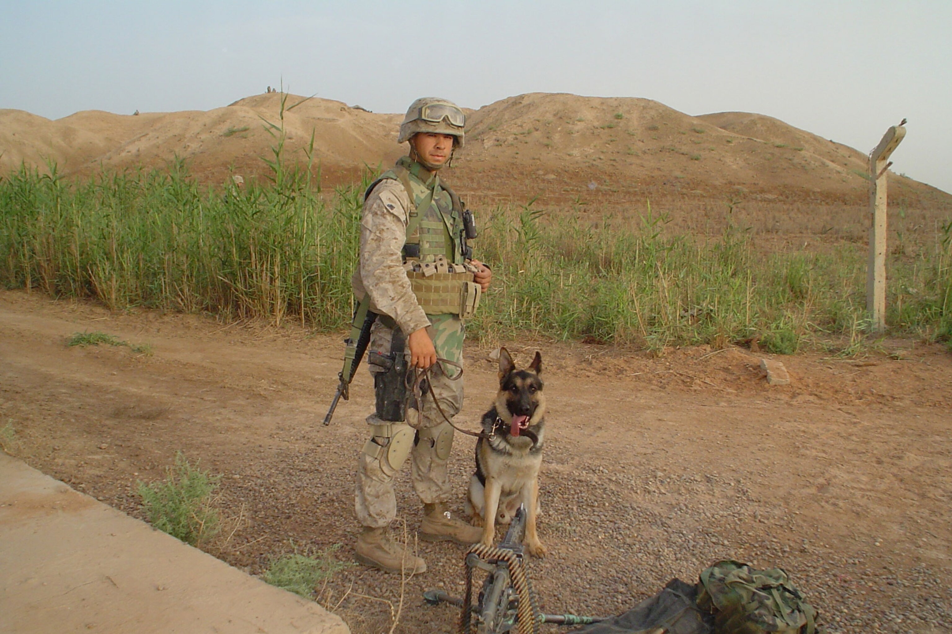 How War Dogs in Iraq Rekindled a Lost Military Tradition
