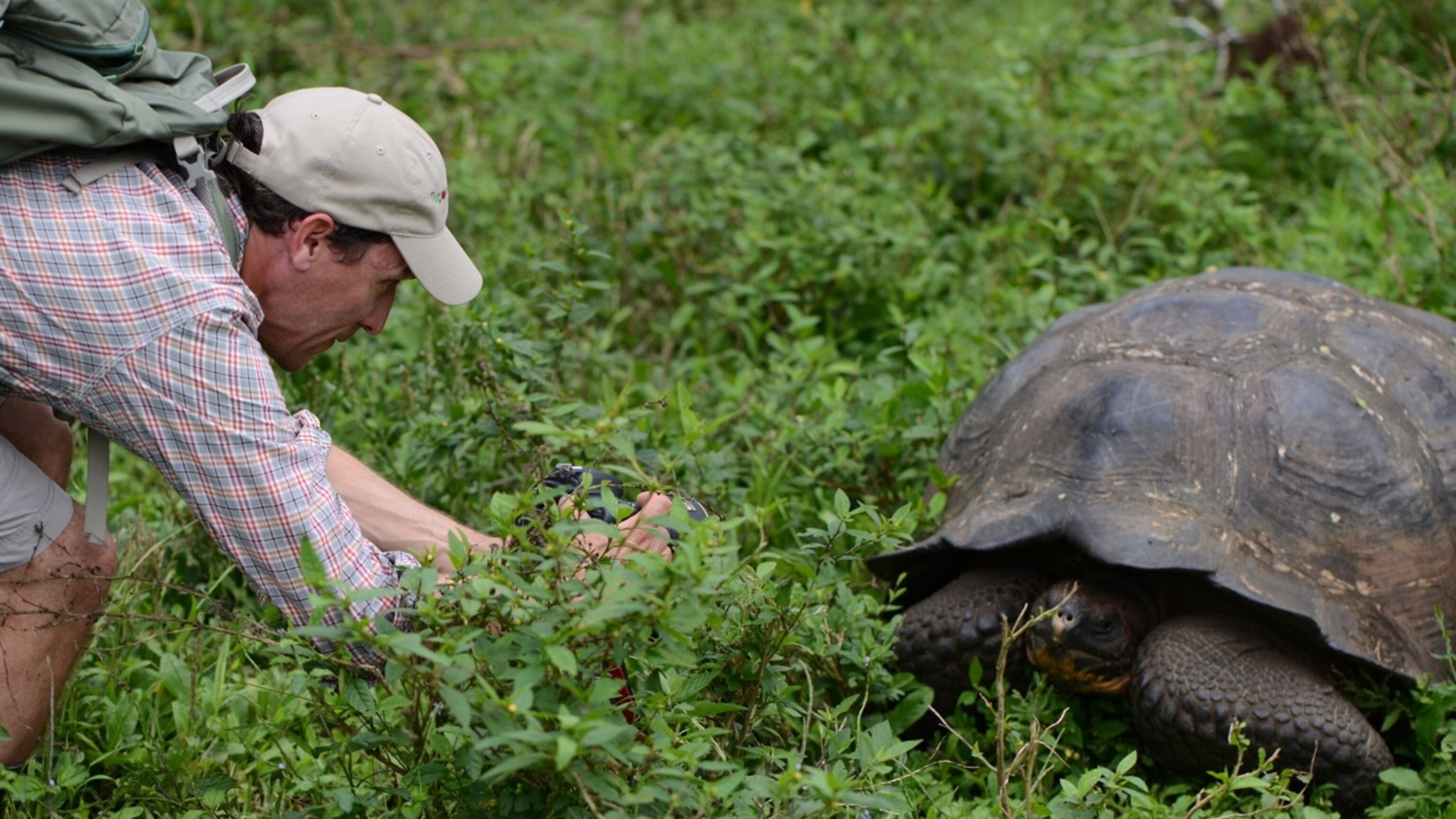 10 Tips for Photographing Wildlife in Galápagos