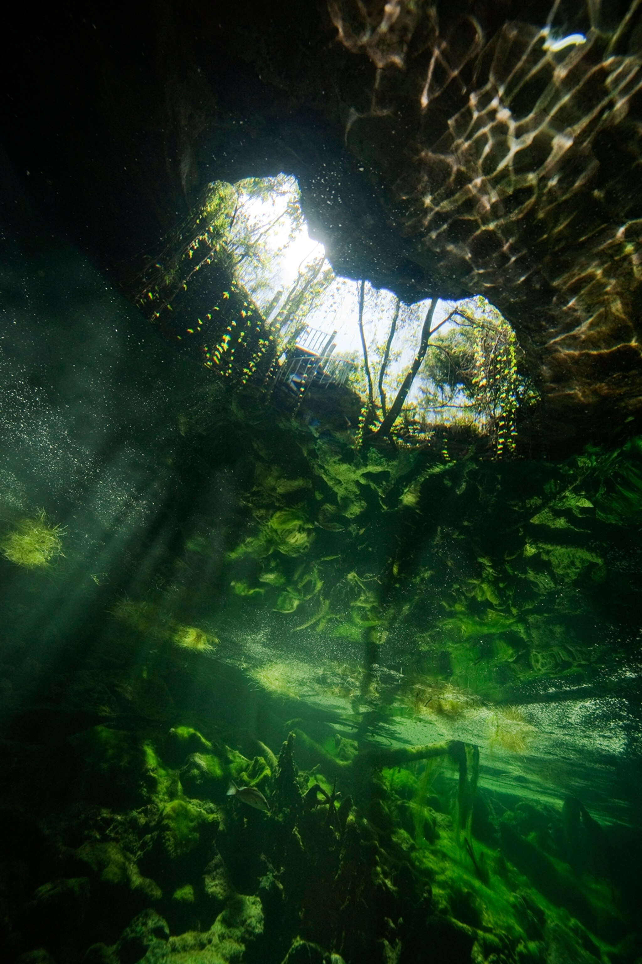 Bahamas Caves - National Geographic Magazine