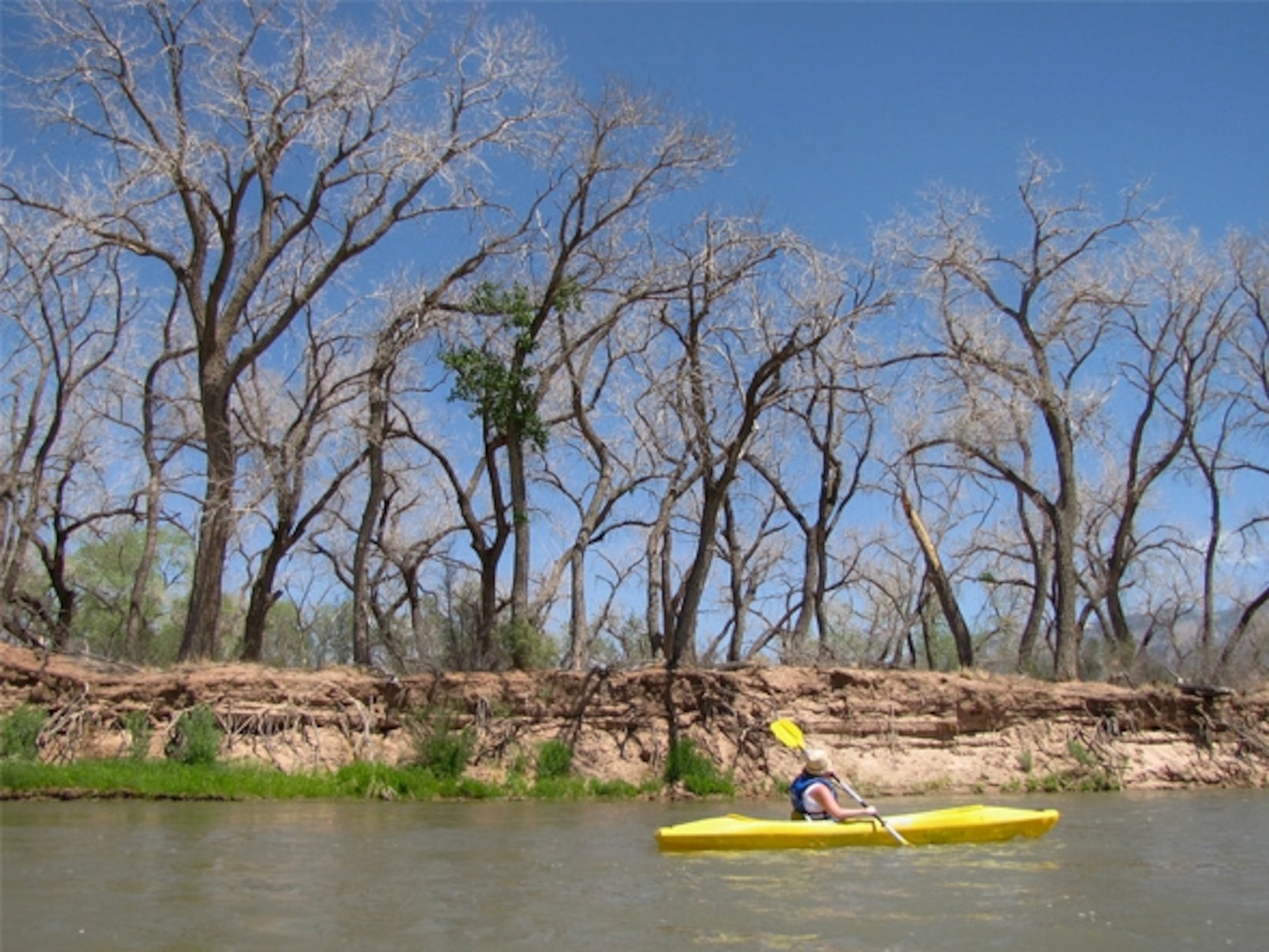 Paddling the Rio Grande