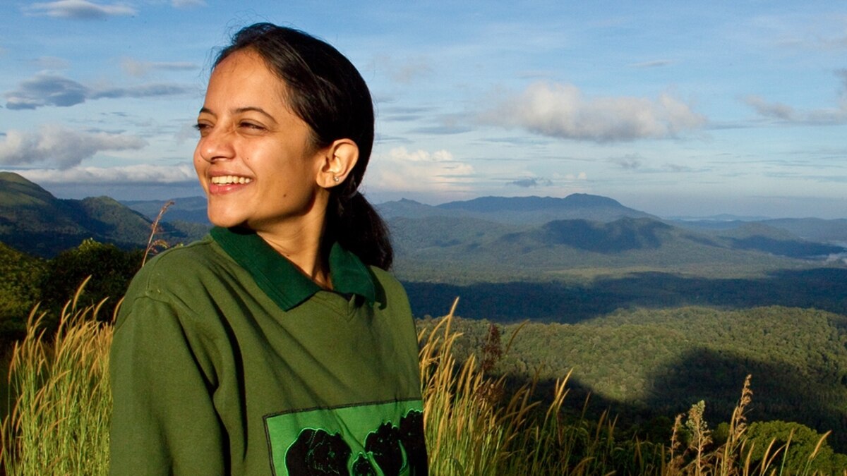 Pictures: National Geographic's Top Ten Discoveries