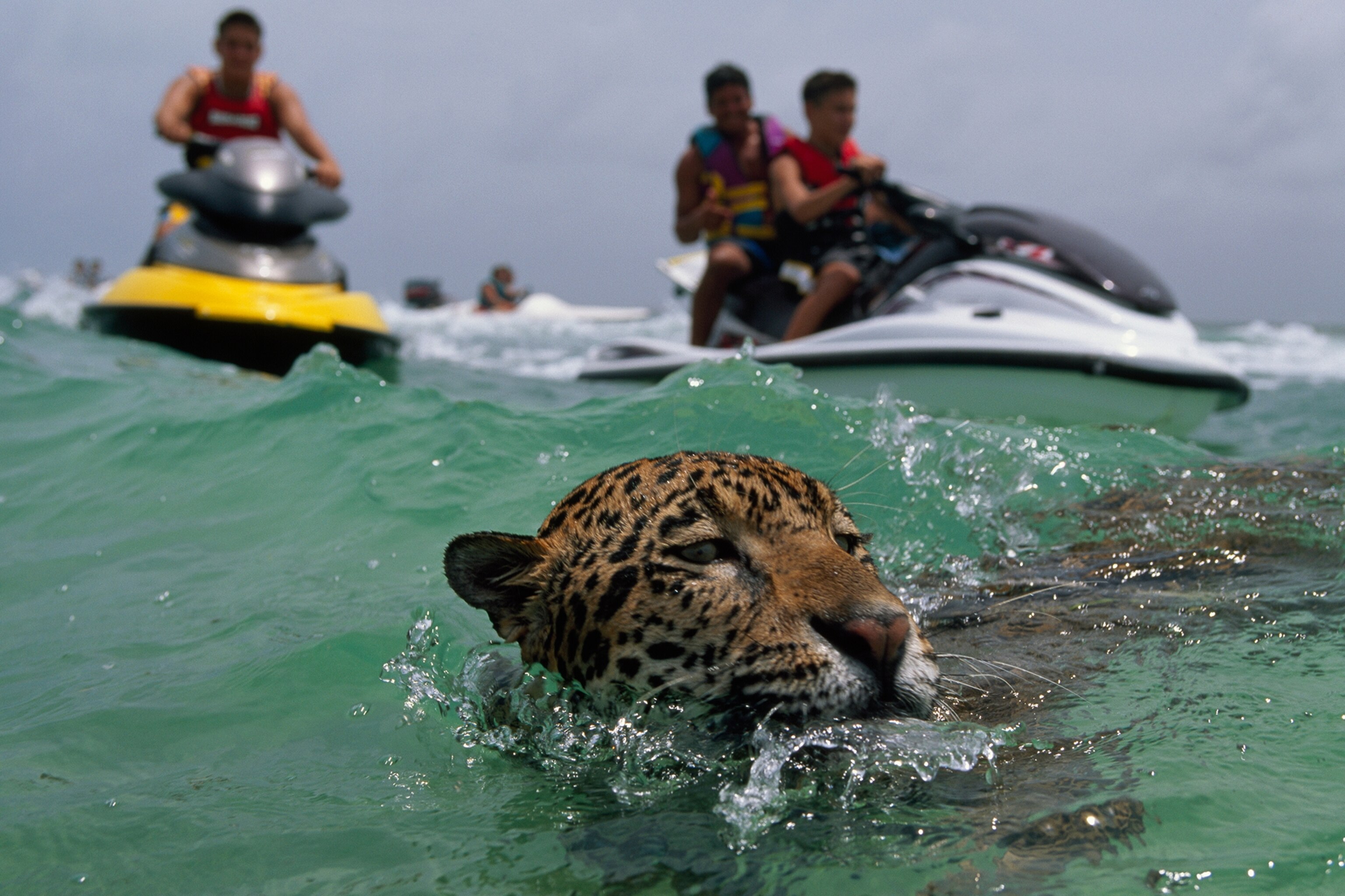 Dive in! 14 Photos of Summer’s Best Water Sports