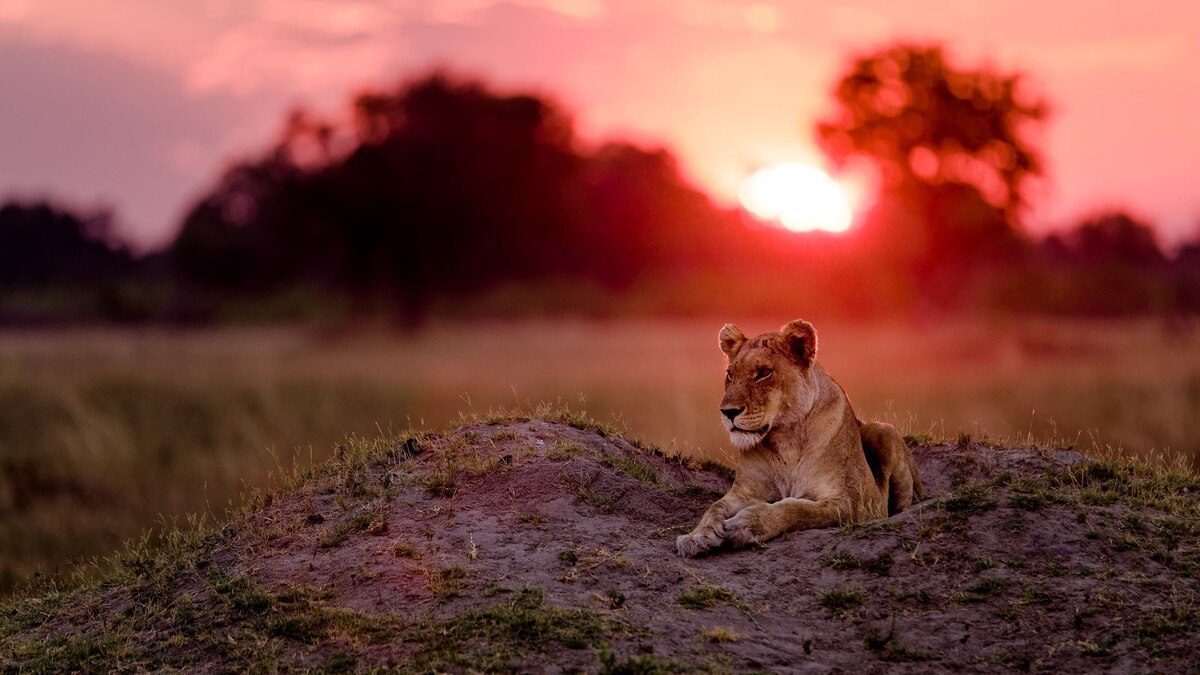 81 Top Travel Pictures From Around the World | National Geographic