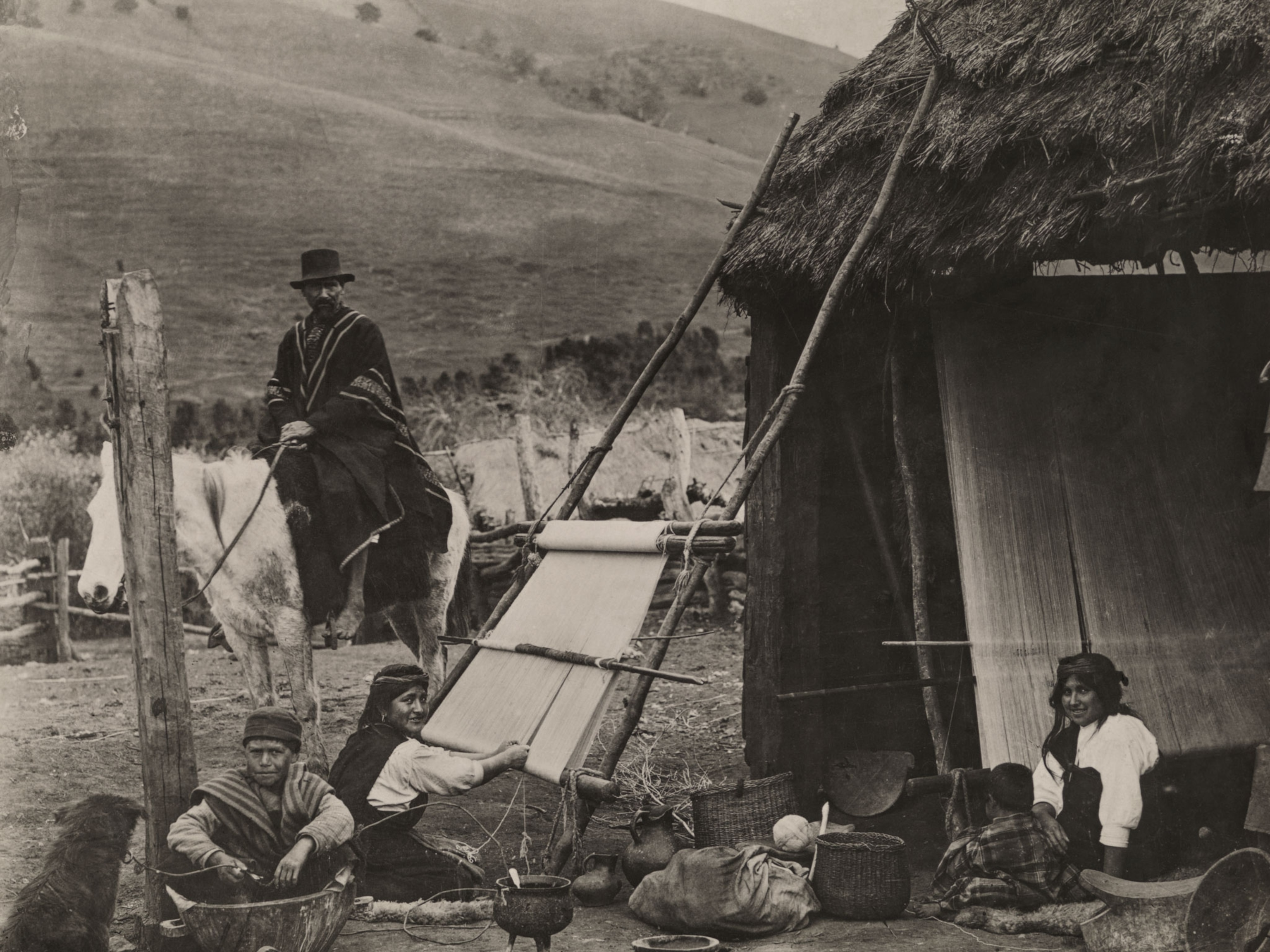 A 40,000-mile journey was nothing for this 19th-century female explorer