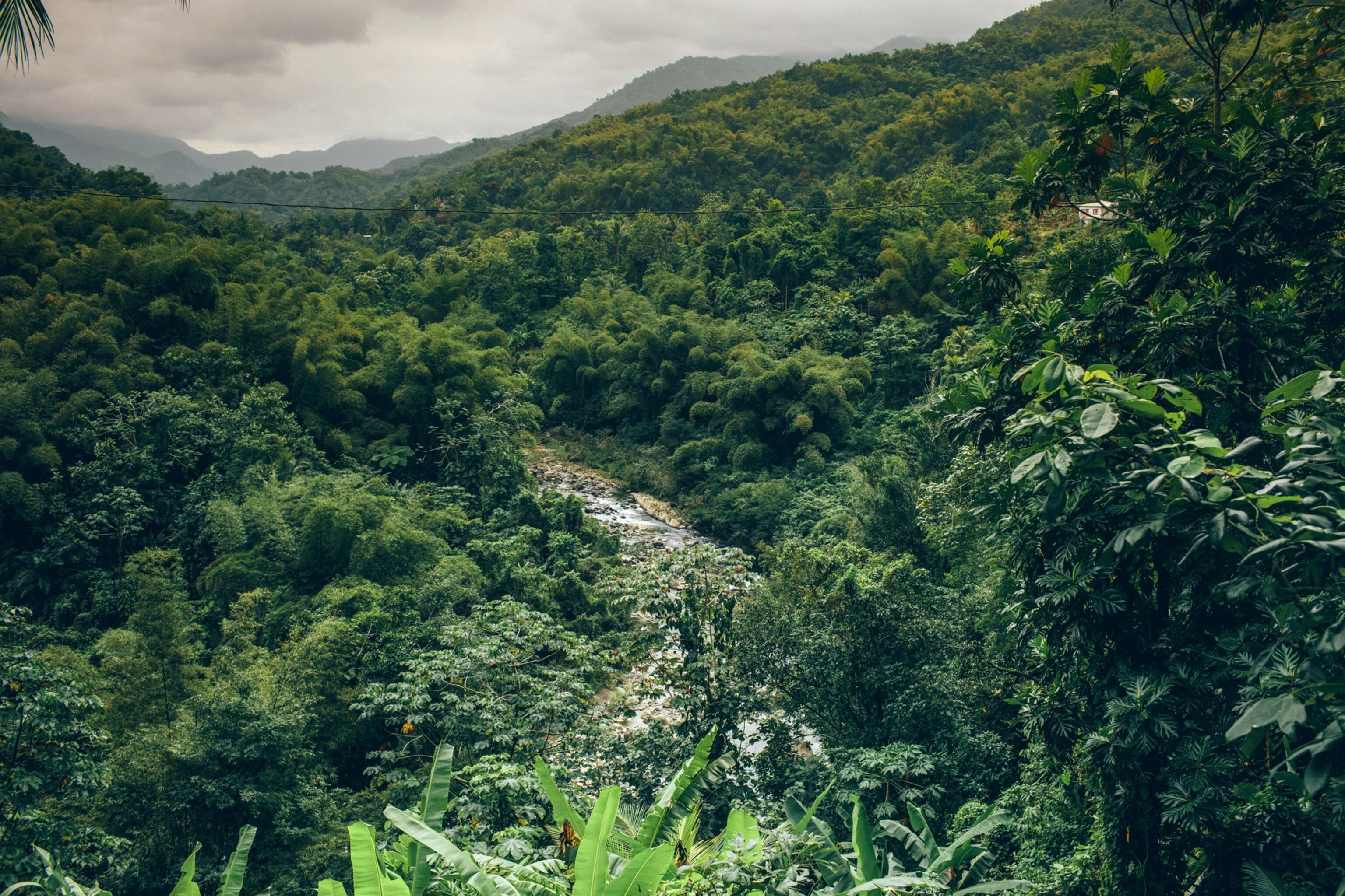 Meet the legendary community that fought for its freedom in Jamaica