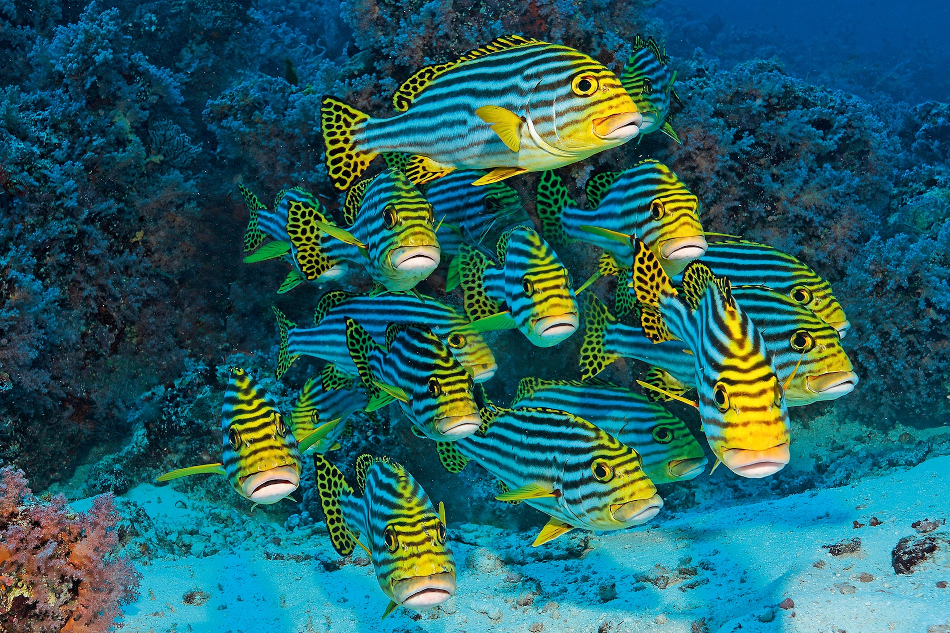 Where to go when in the Indian Ocean