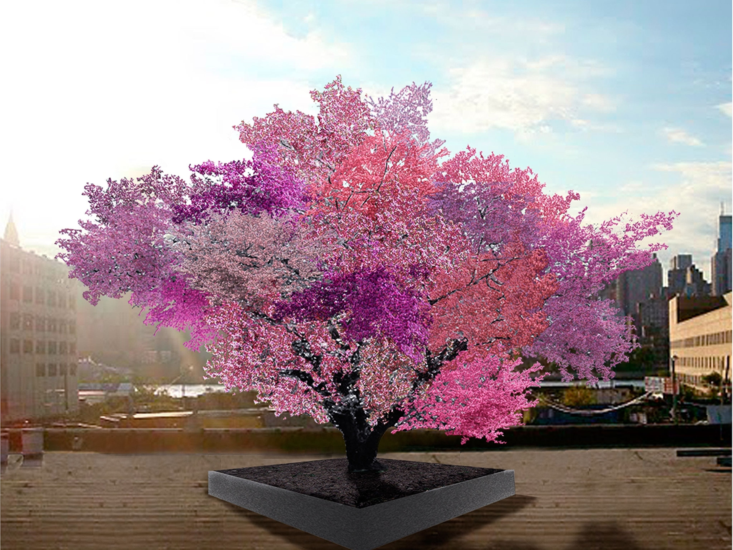 What a ‘Tree of 40 Fruit’ Tells Us About Agricultural Evolution